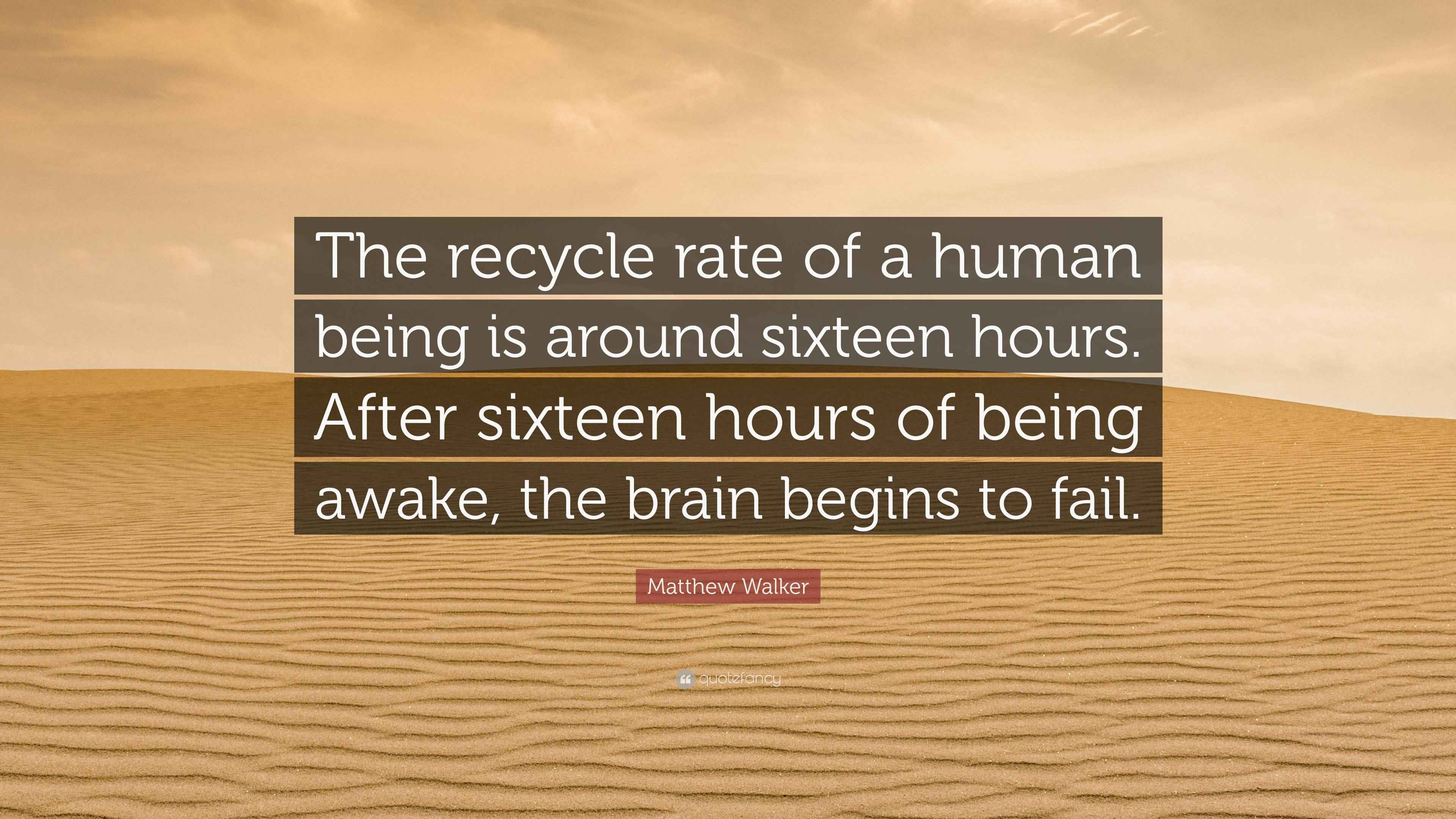 Matthew Walker Quote: “The recycle rate of a human being is around ...