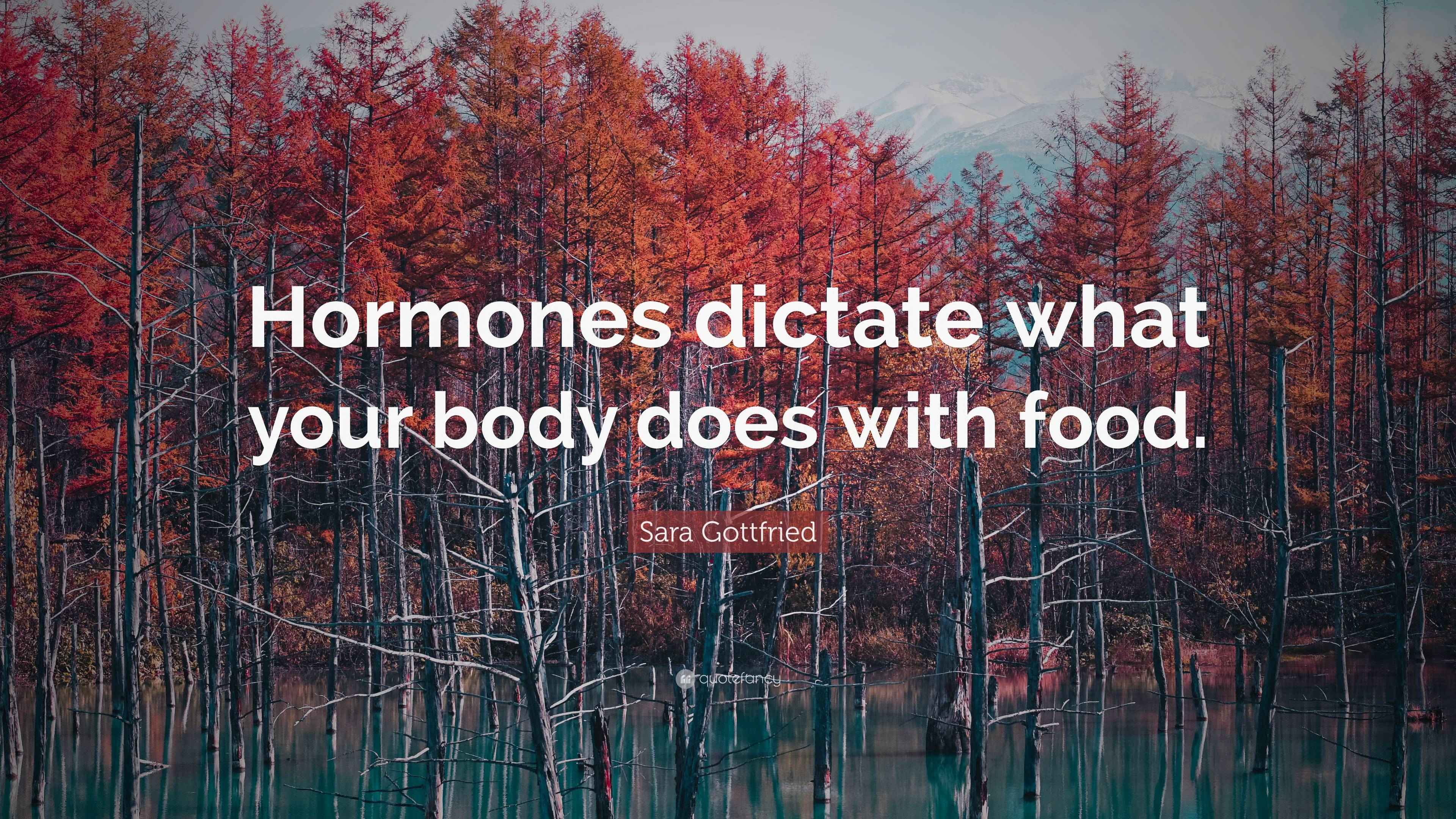 Sara Gottfried Quote: “Hormones dictate what your body does with food.”