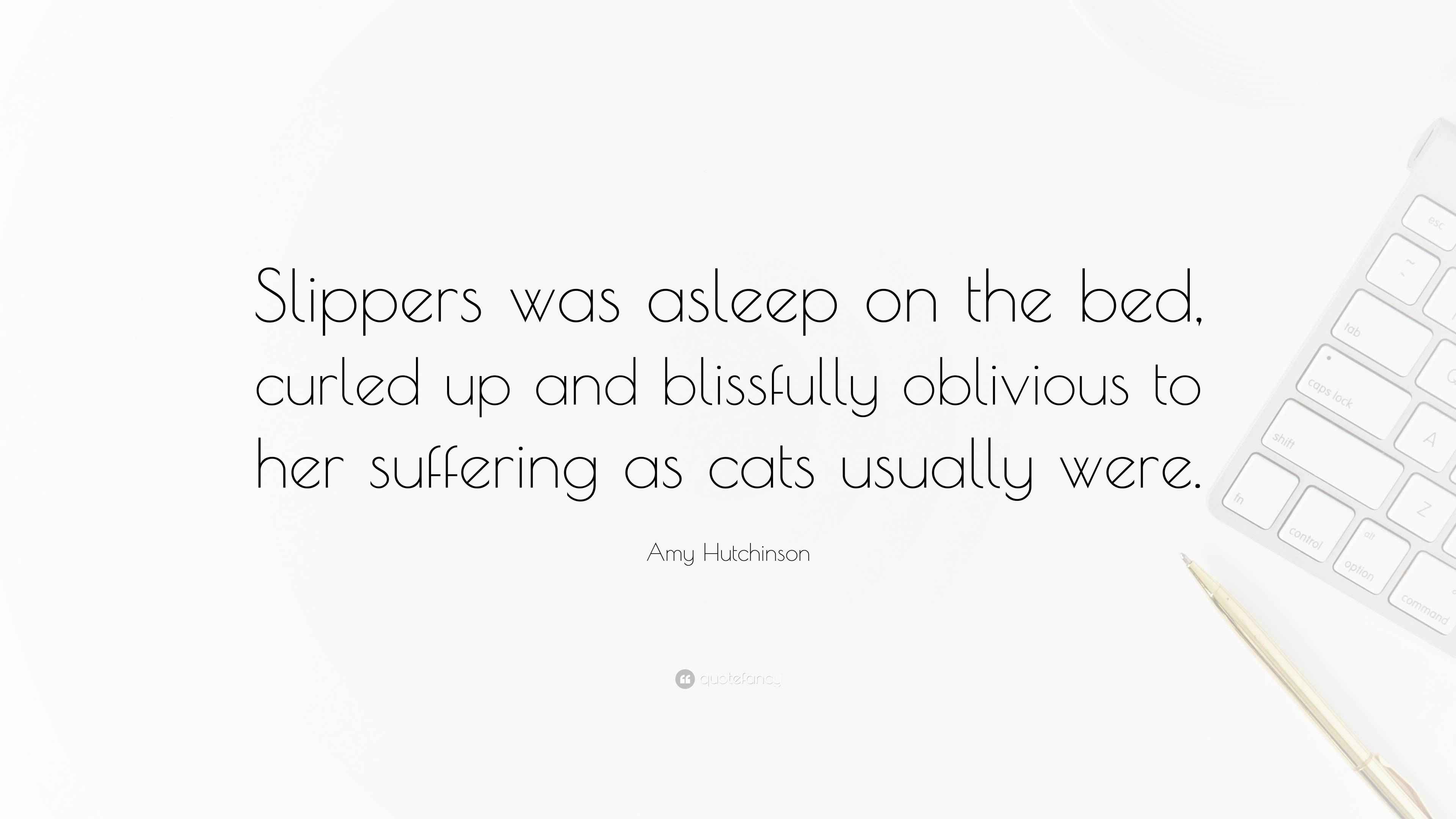 Amy Hutchinson Quote: “Slippers was asleep on the bed, curled up and ...