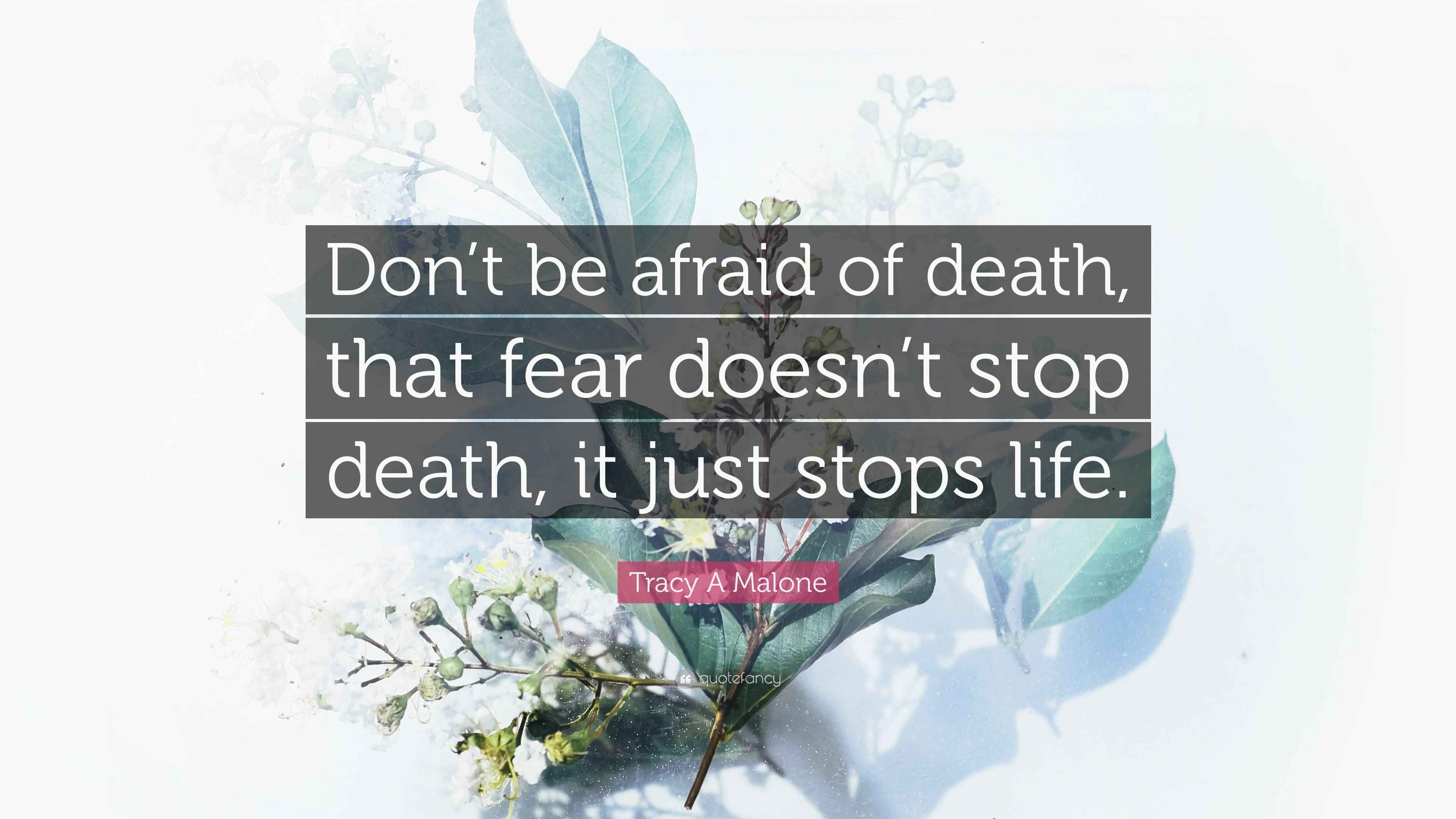 Tracy A Malone Quote: “Don’t be afraid of death, that fear doesn’t stop ...