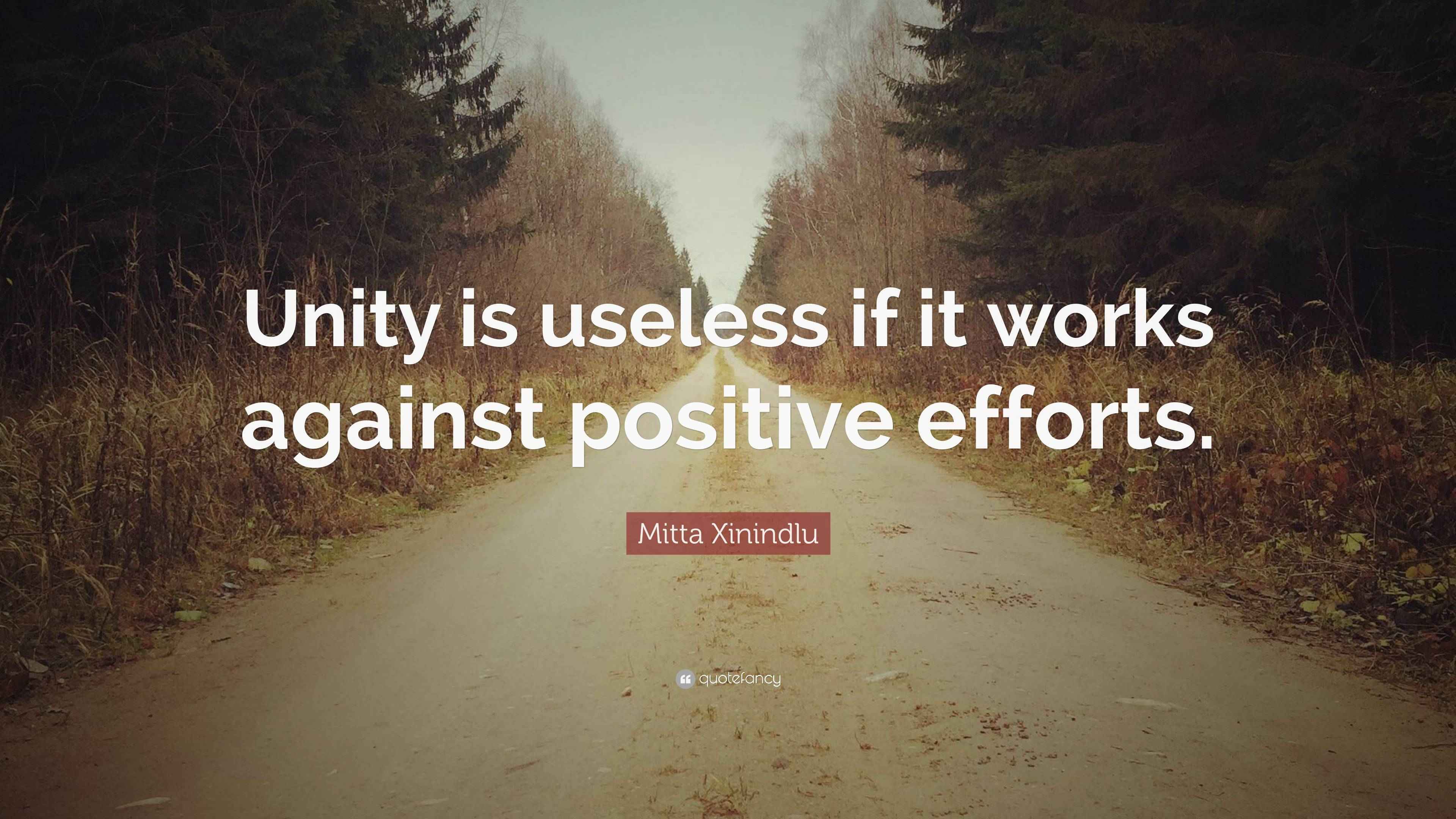 Mitta Xinindlu Quote: “Unity is useless if it works against positive ...
