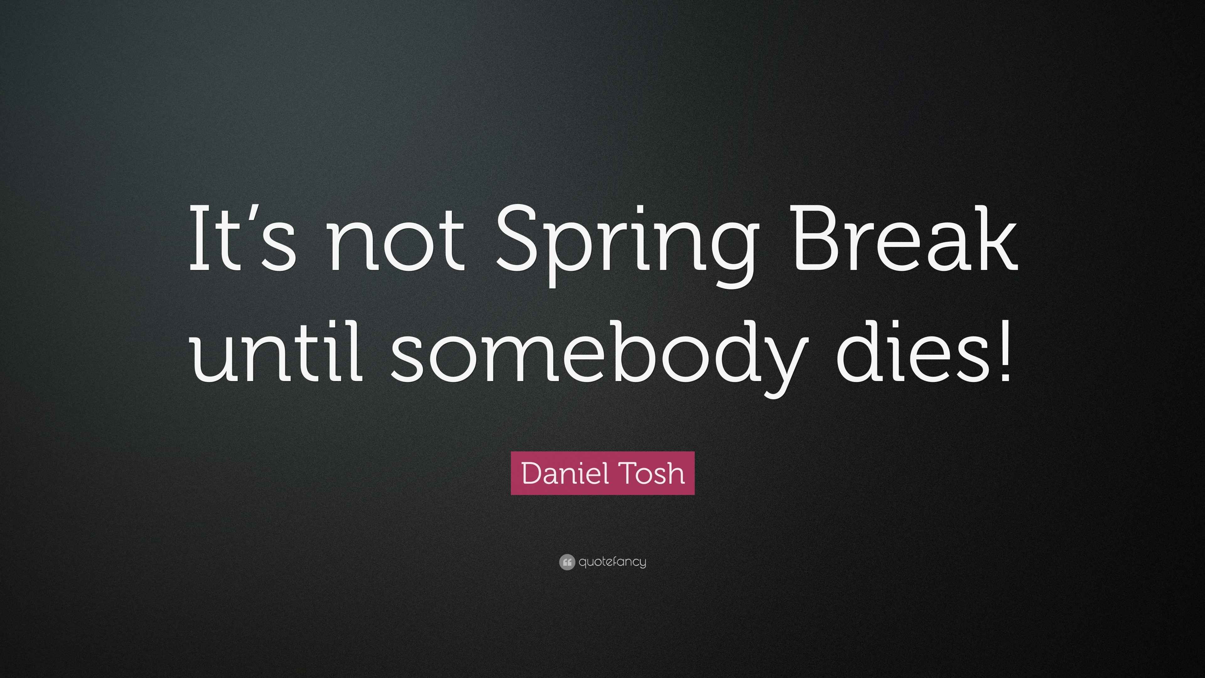 Daniel Tosh Quote: “It’s not Spring Break until somebody dies!”