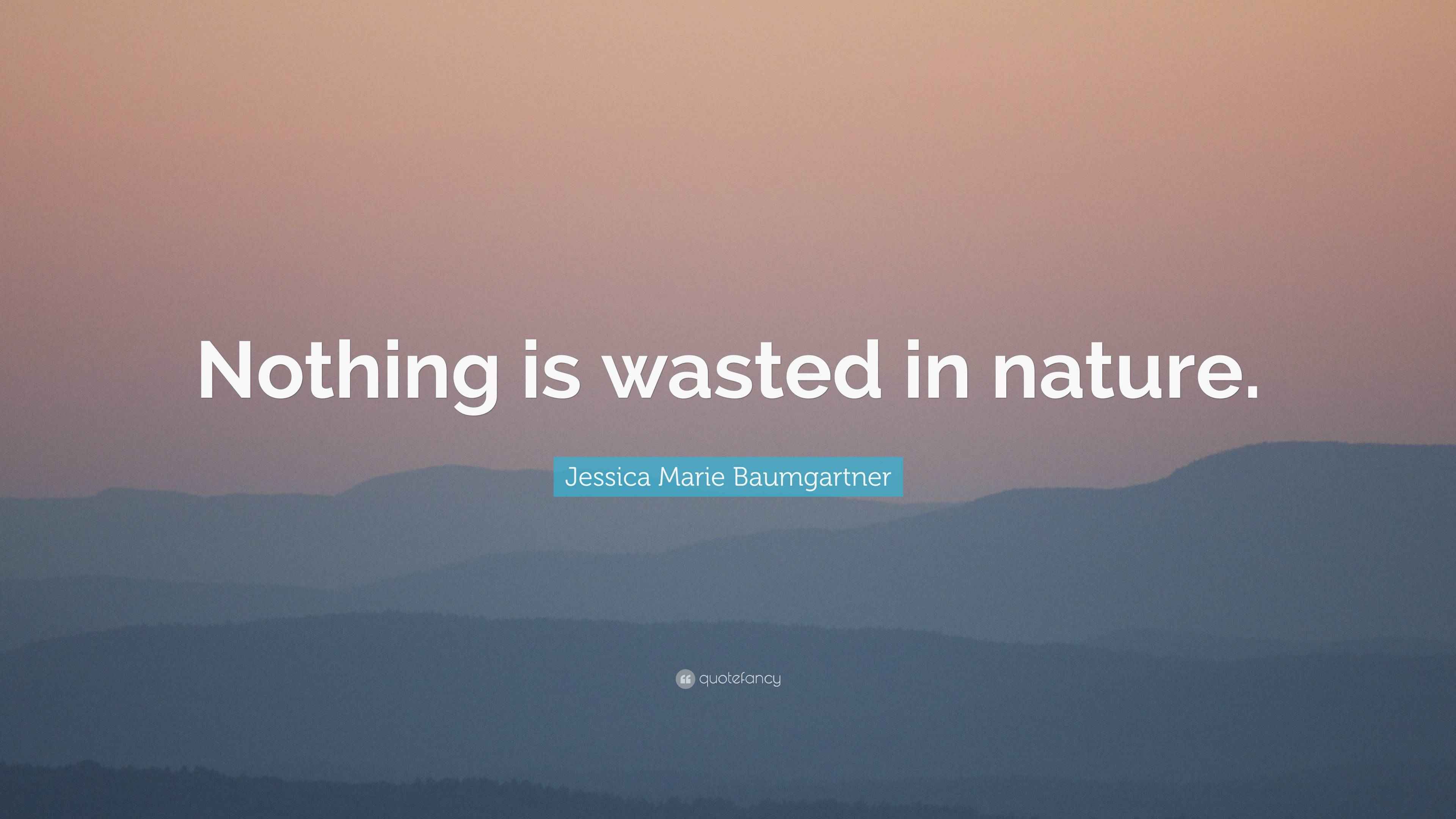 Jessica Marie Baumgartner Quote: “Nothing is wasted in nature.”