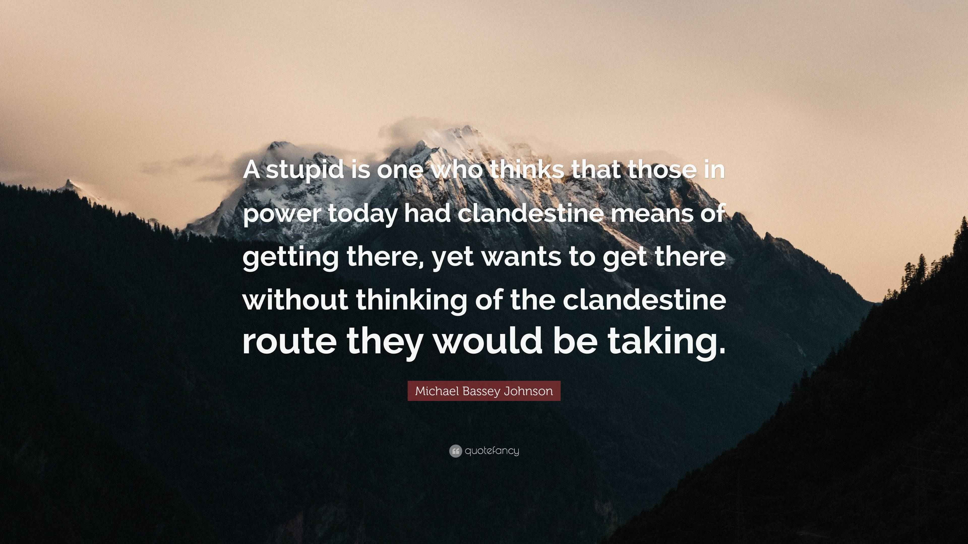 Michael Bassey Johnson Quote: “A stupid is one who thinks that those in ...