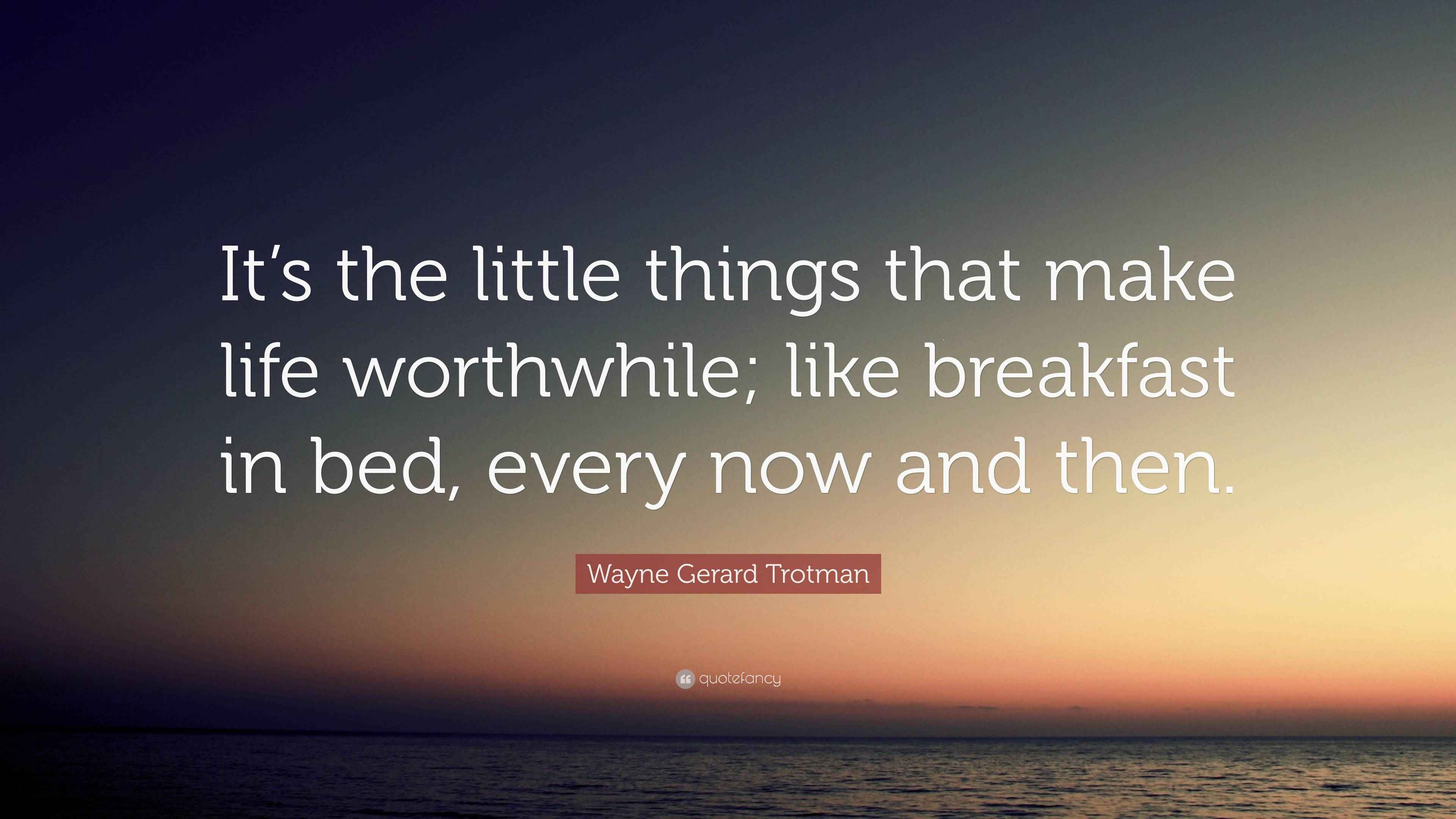 Wayne Gerard Trotman Quote: “It’s the little things that make life ...