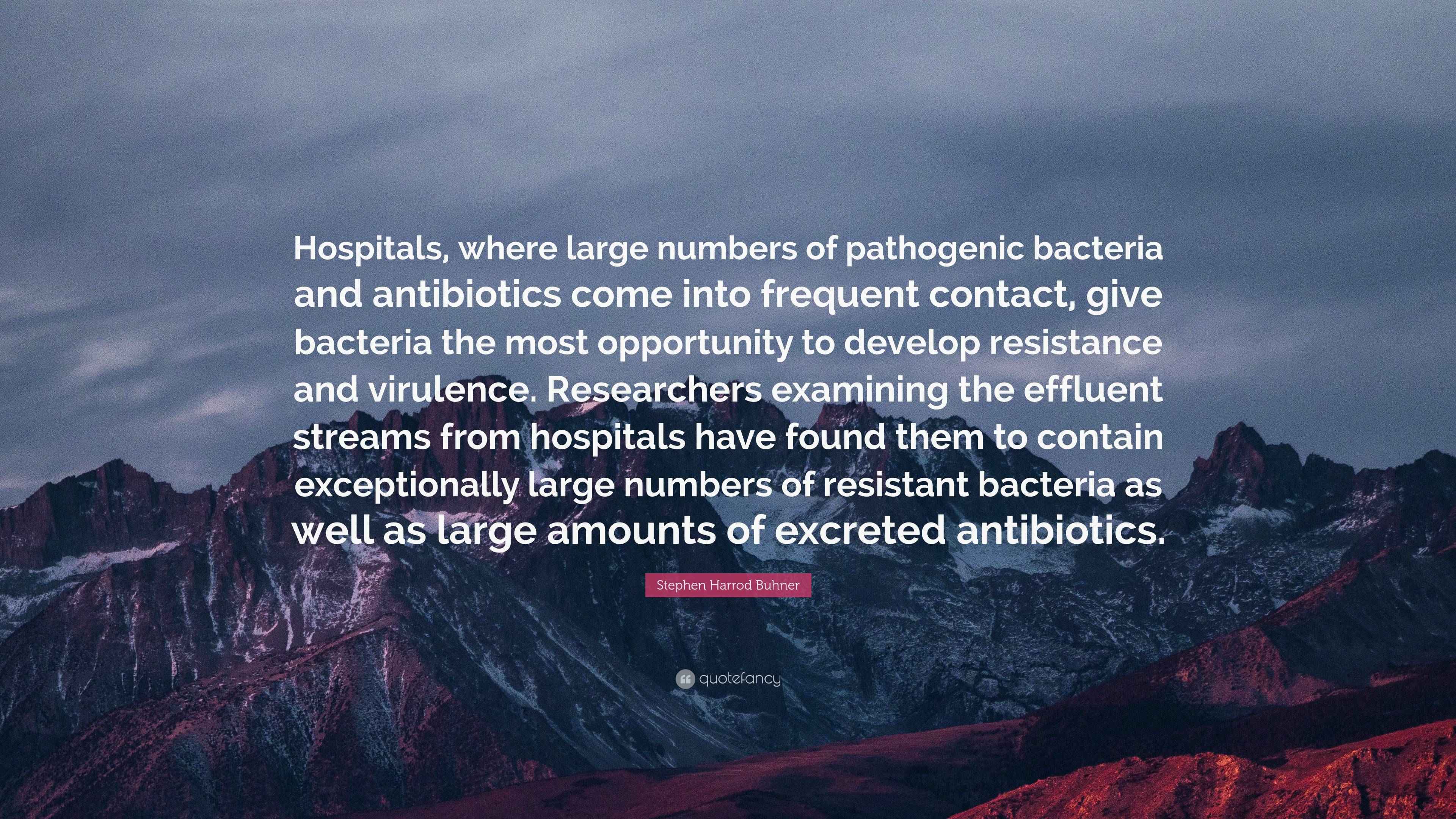 Stephen Harrod Buhner Quote: “Hospitals, where large numbers of ...