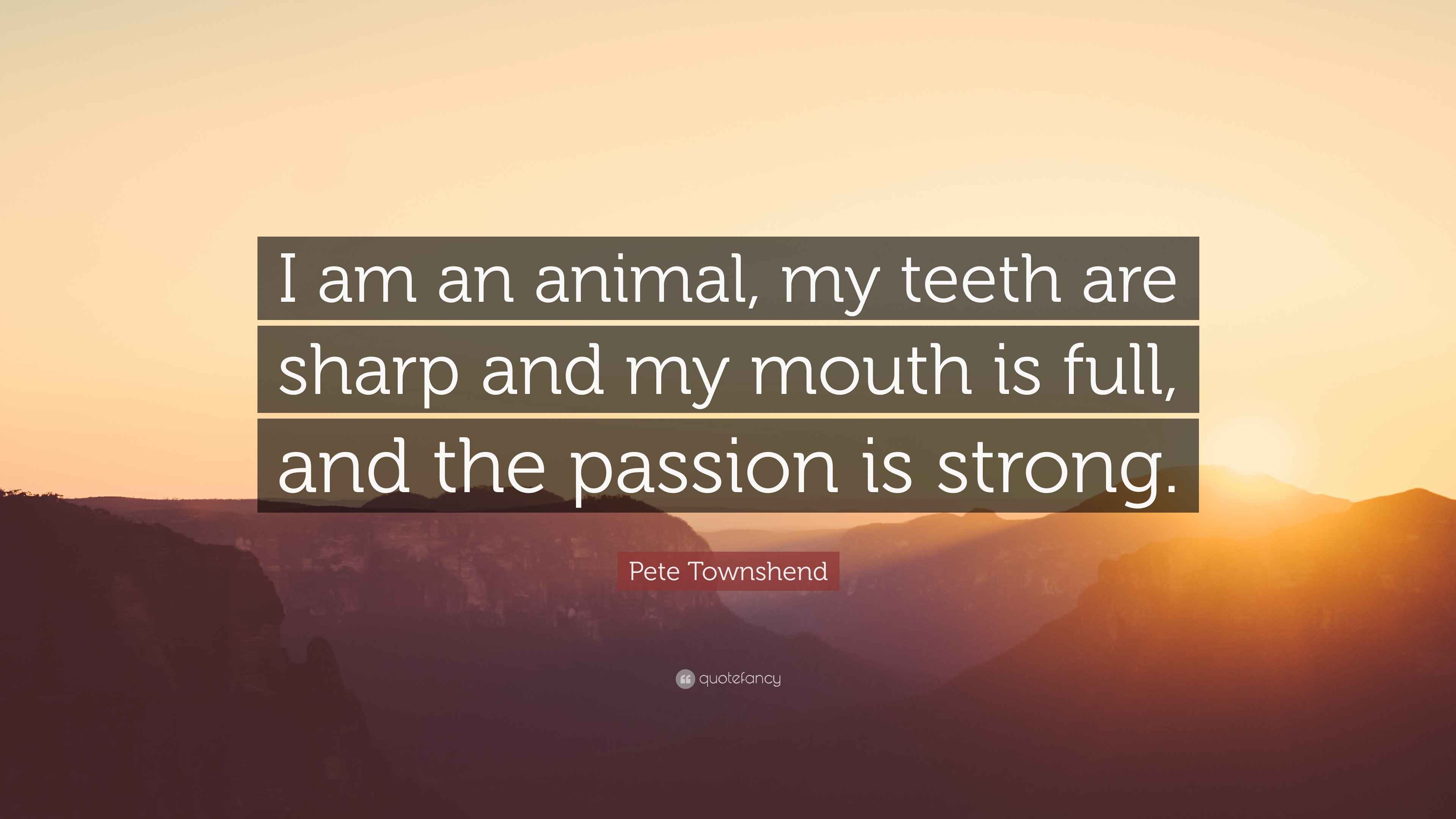 Pete Townshend Quote: “I am an animal, my teeth are sharp and my mouth ...