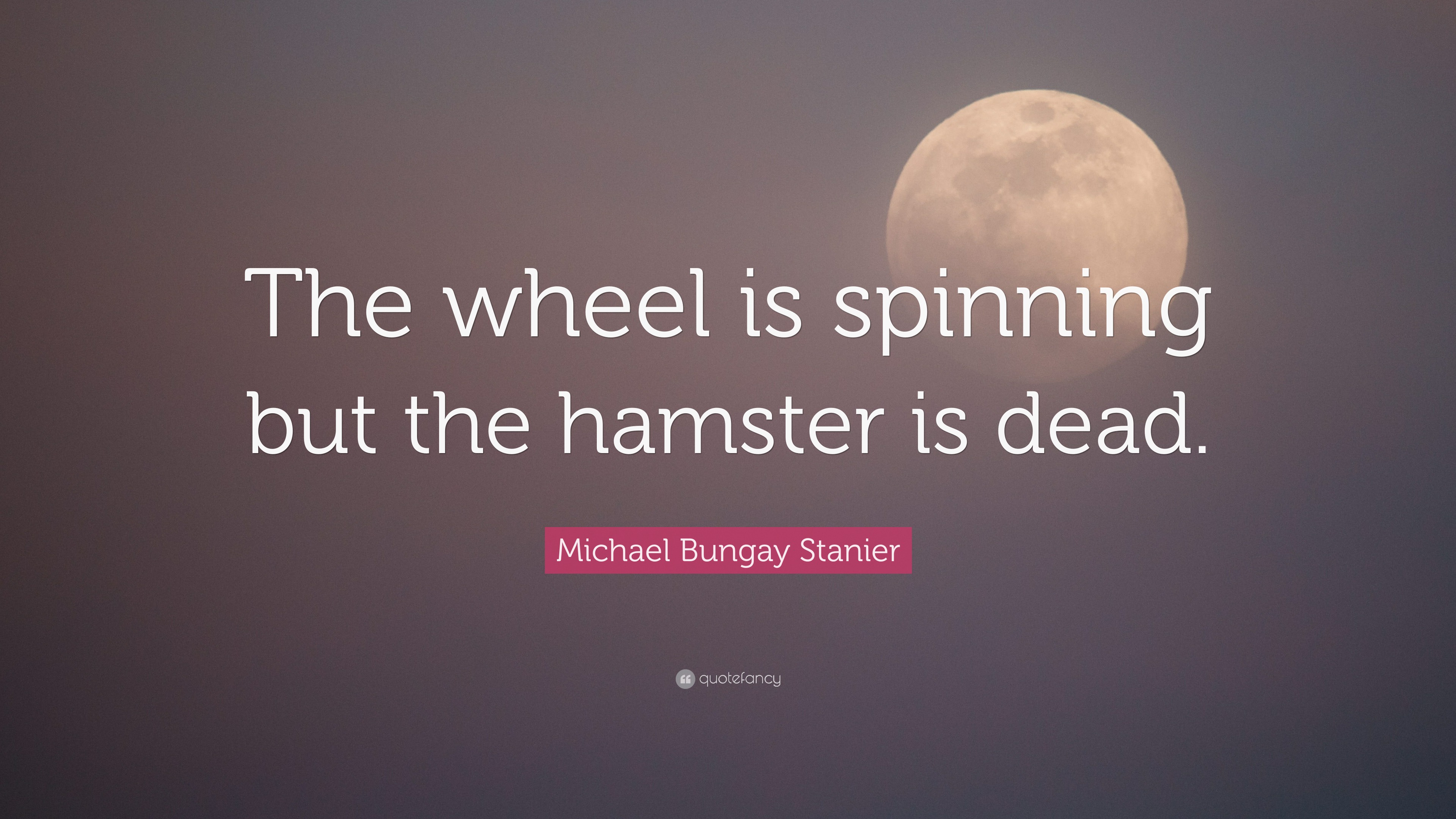 Michael Bungay Stanier Quote: “The wheel is spinning but the hamster is ...