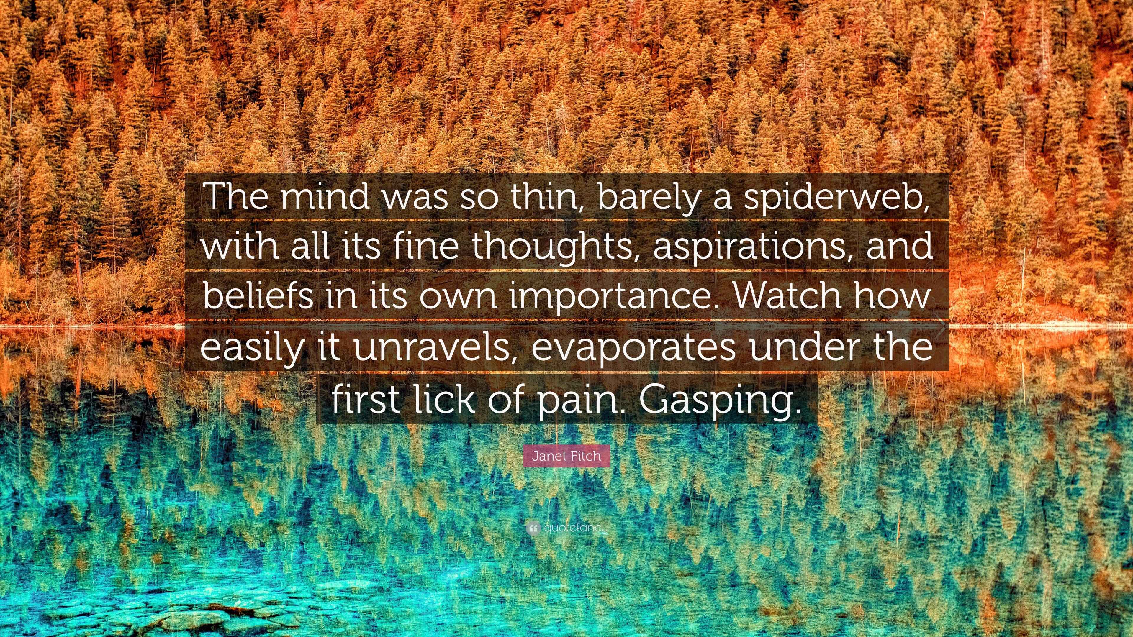 Janet Fitch Quote: “The mind was so thin, barely a spiderweb, with all ...