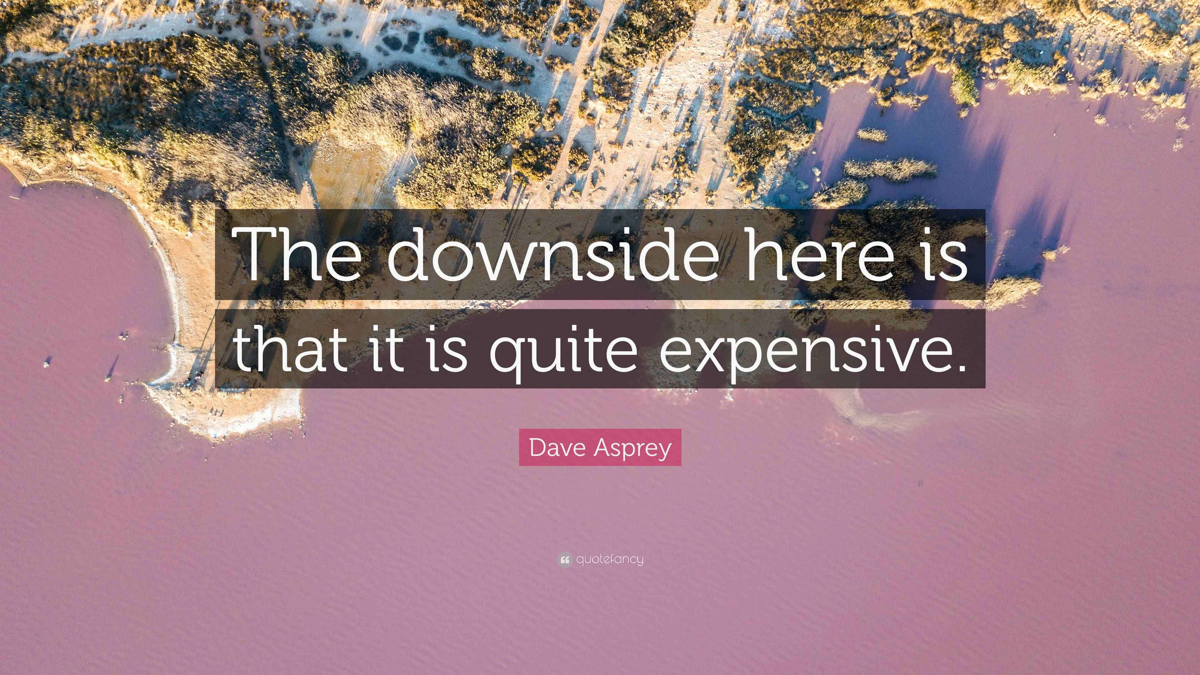 Dave Asprey Quote: “The downside here is that it is quite expensive.”