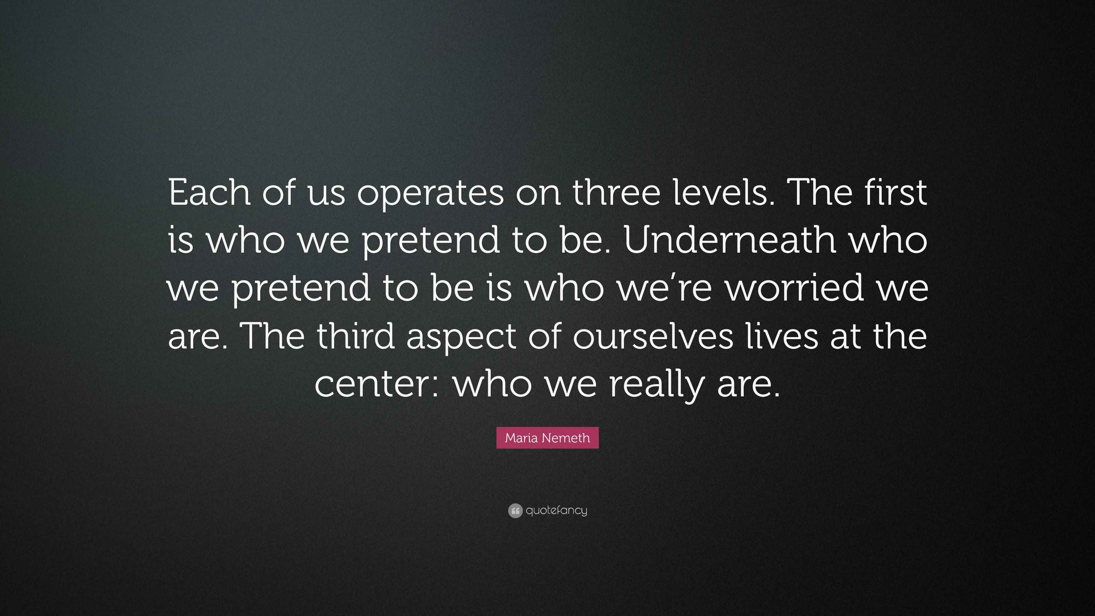 Maria Nemeth Quote: “Each of us operates on three levels. The first is ...