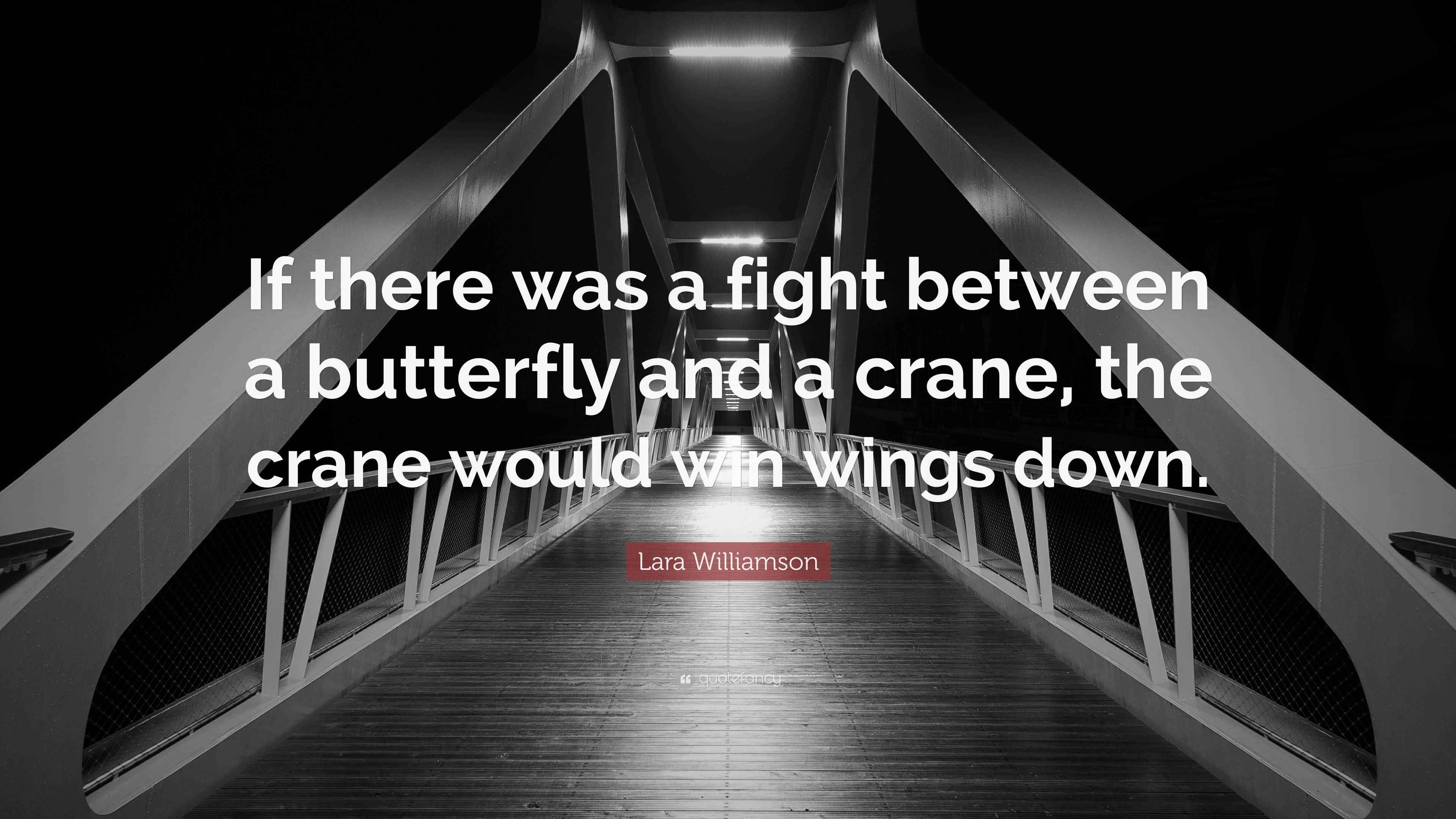 Lara Williamson Quote: “If there was a fight between a butterfly and a ...