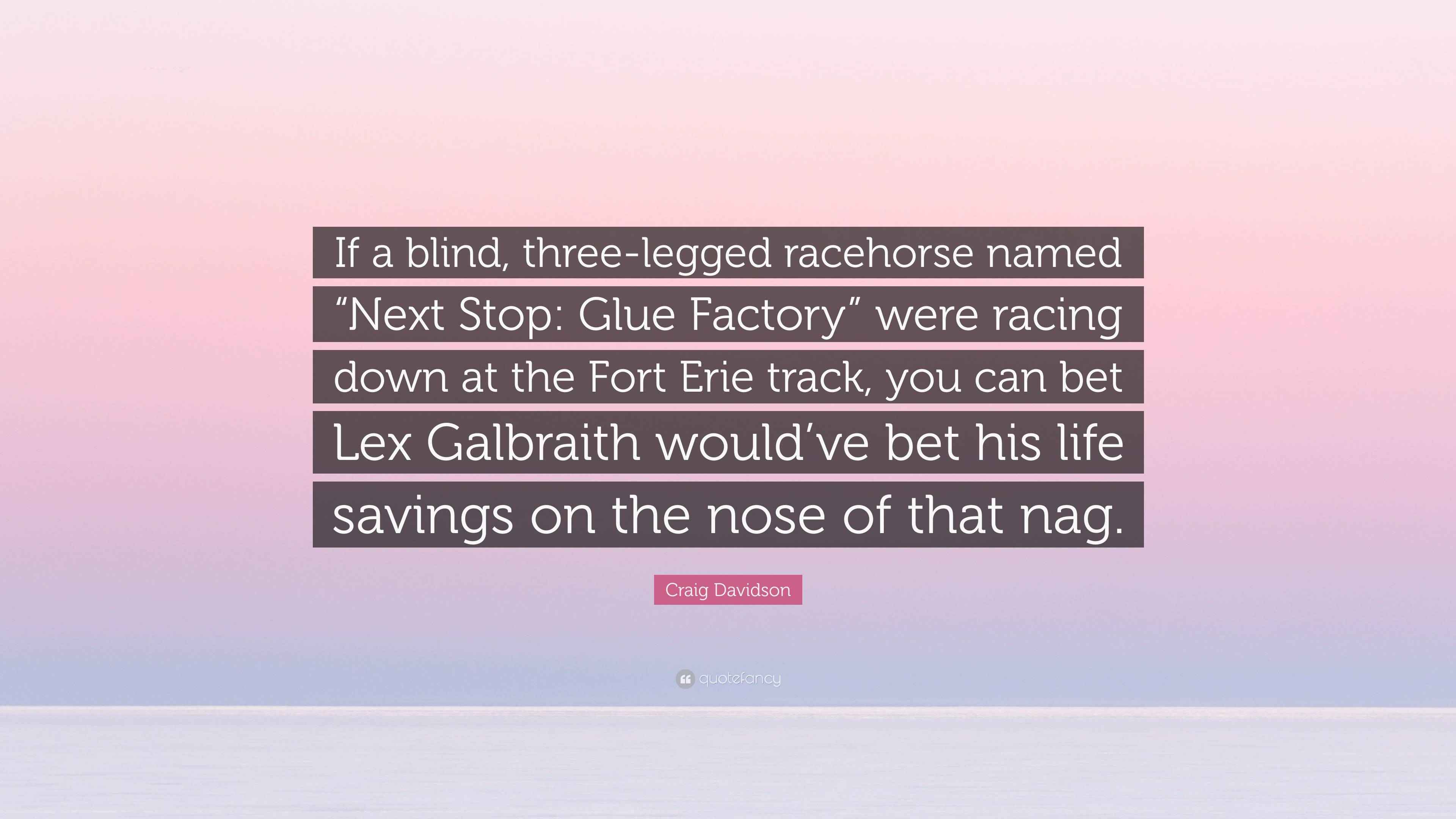 Craig Davidson Quote: “If a blind, three-legged racehorse named “Next ...