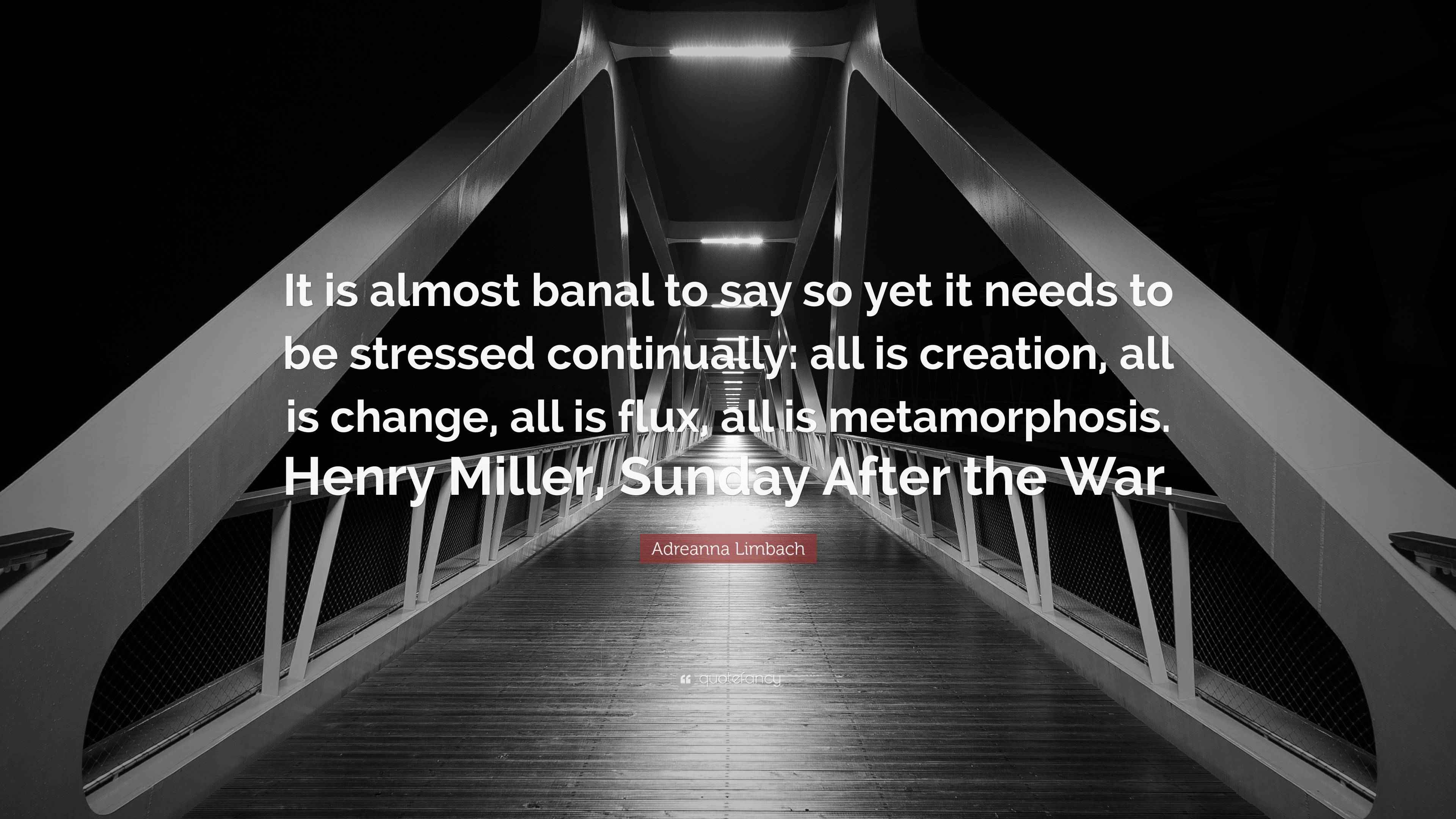 Adreanna Limbach Quote: “It is almost banal to say so yet it needs to ...