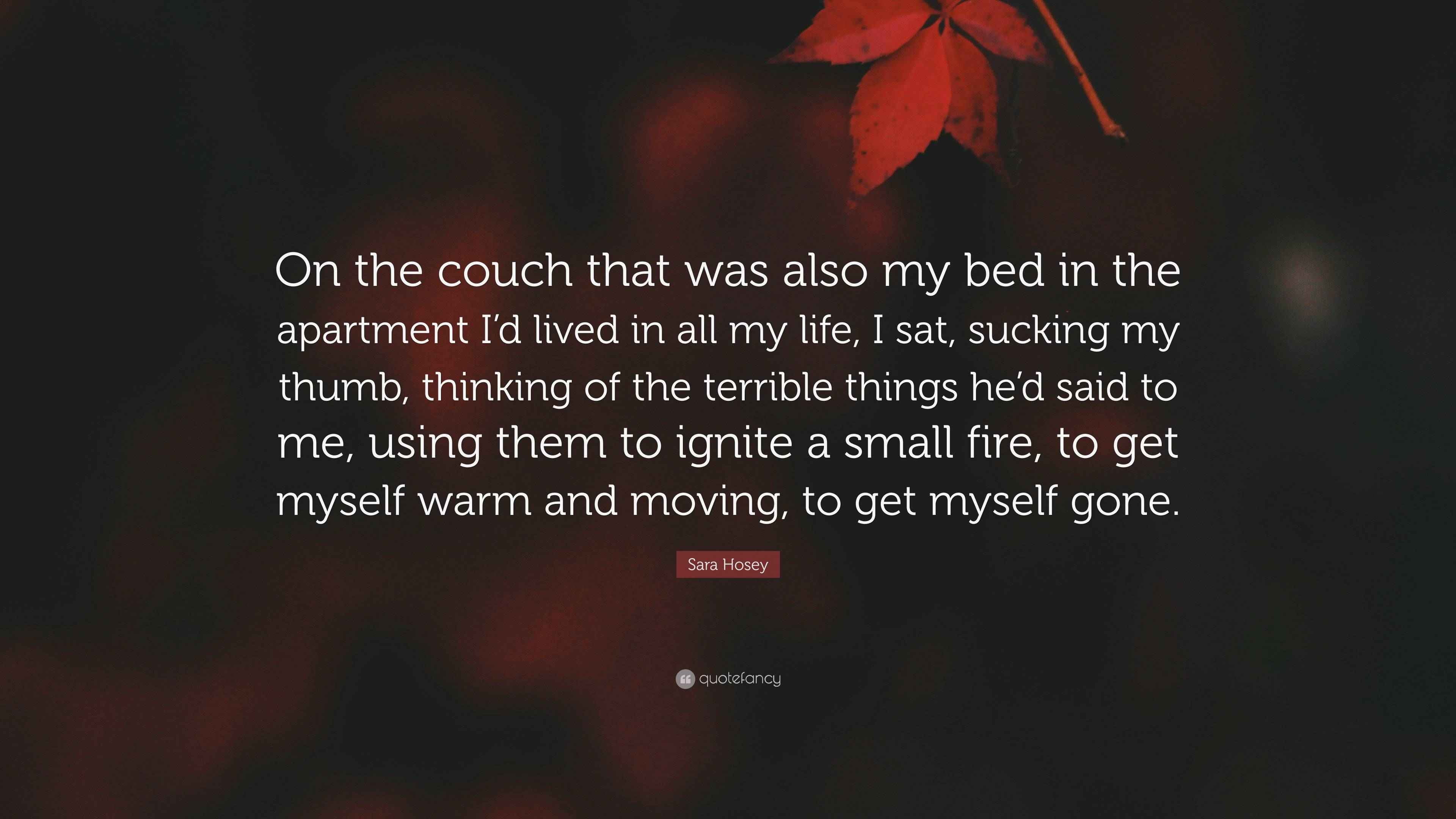 Sara Hosey Quote: “On the couch that was also my bed in the apartment I ...