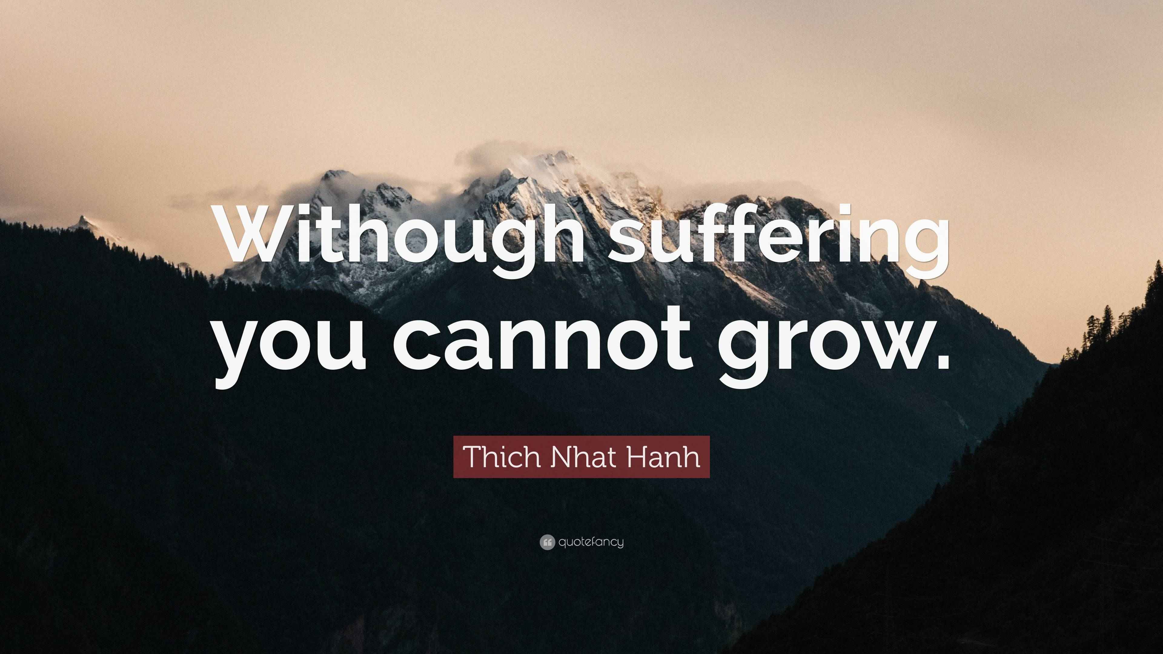 Thich Nhat Hanh Quote: “Withough suffering you cannot grow.”