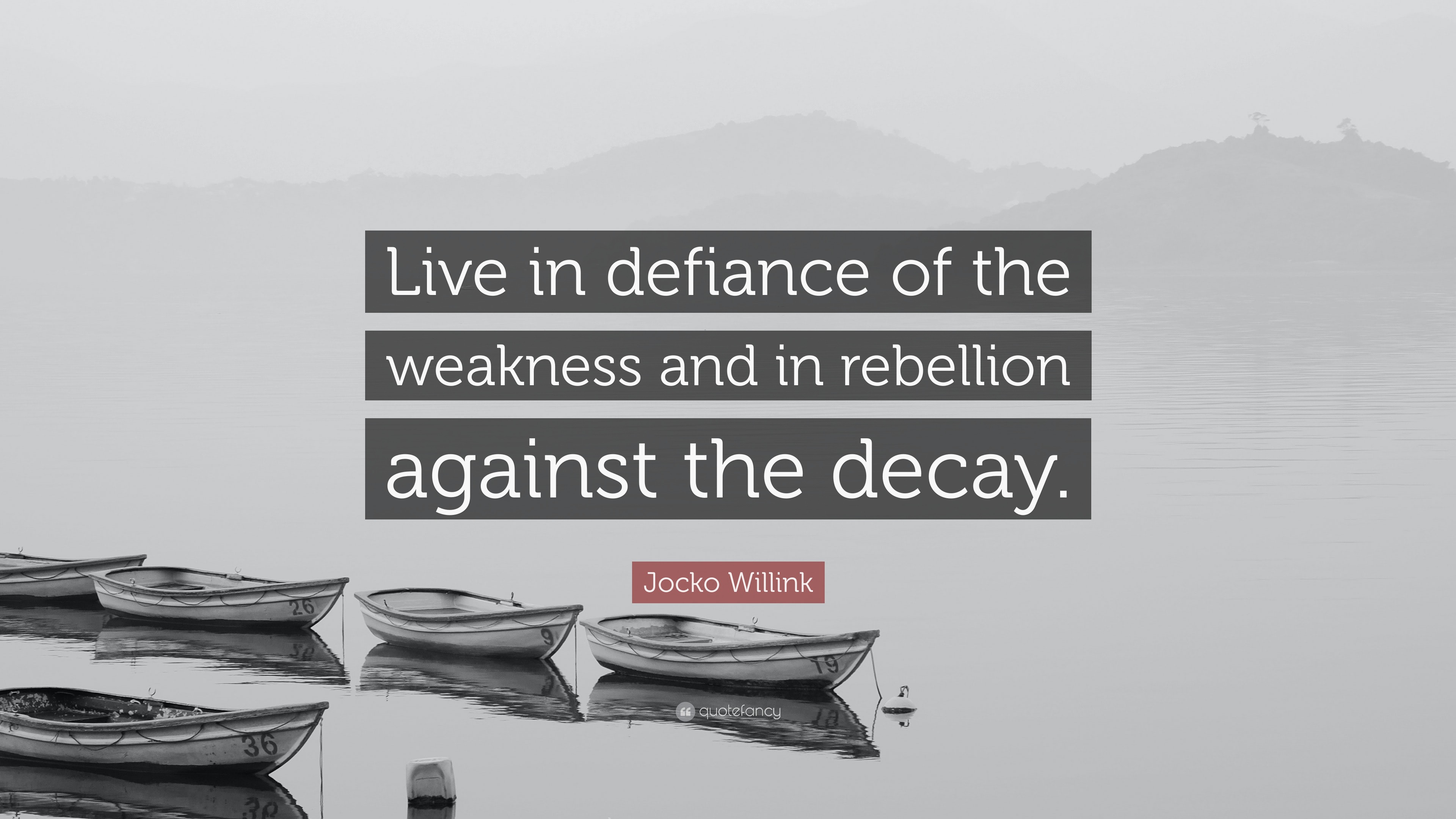 Jocko Willink Quote: “Live in defiance of the weakness and in rebellion ...