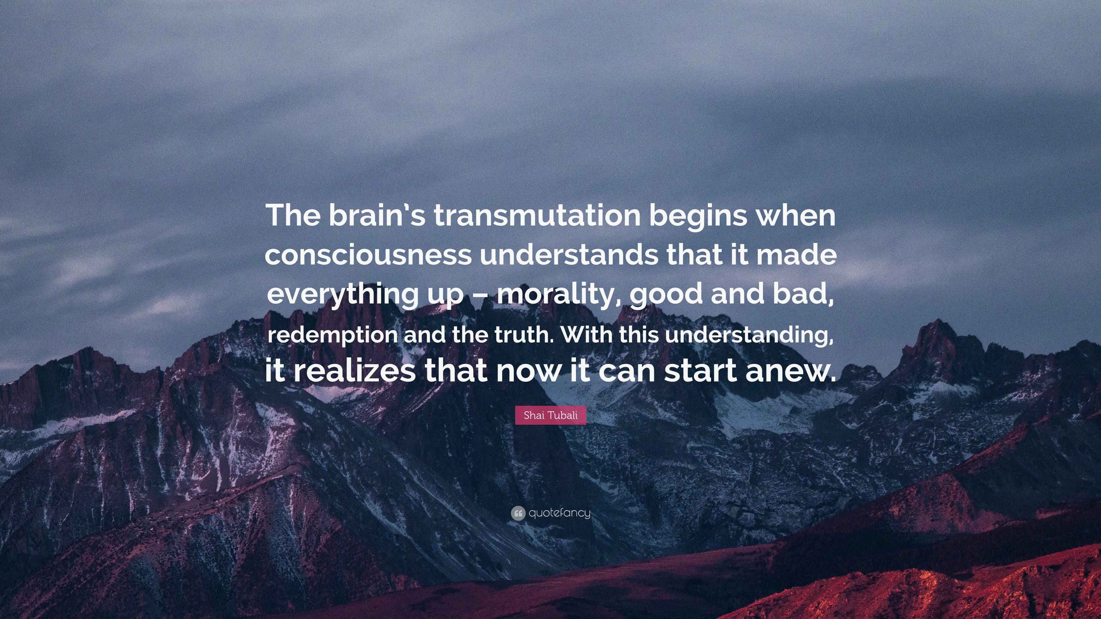 Shai Tubali Quote: “The brain’s transmutation begins when consciousness ...