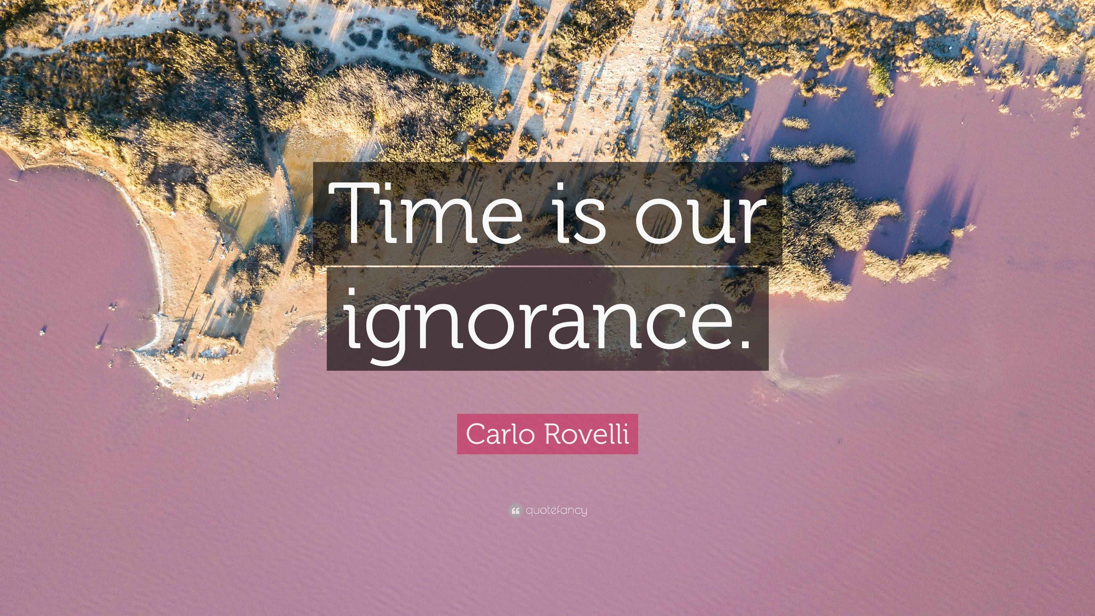 Carlo Rovelli Quote: “Time is our ignorance.”