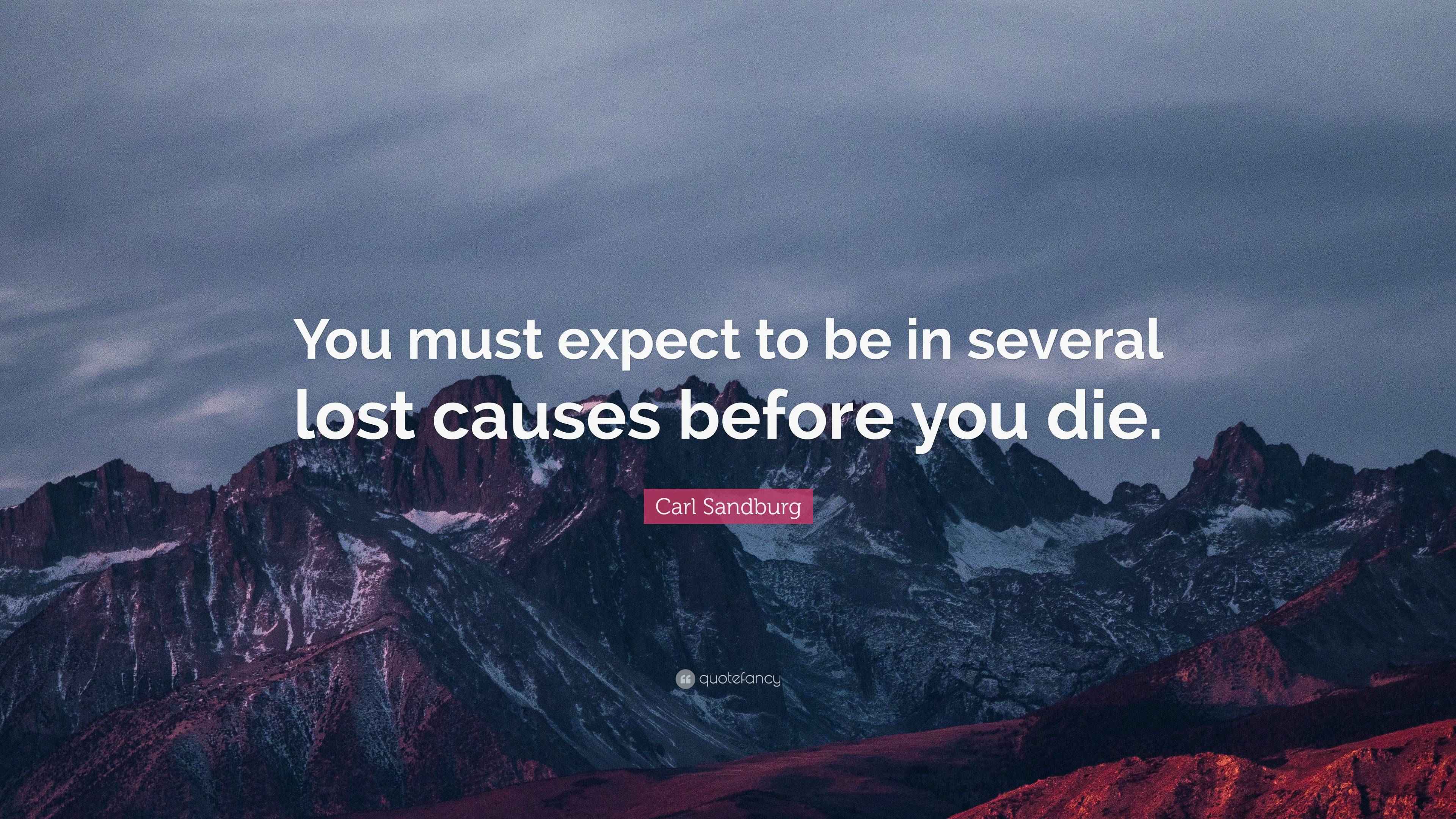 Carl Sandburg Quote: “You must expect to be in several lost causes ...