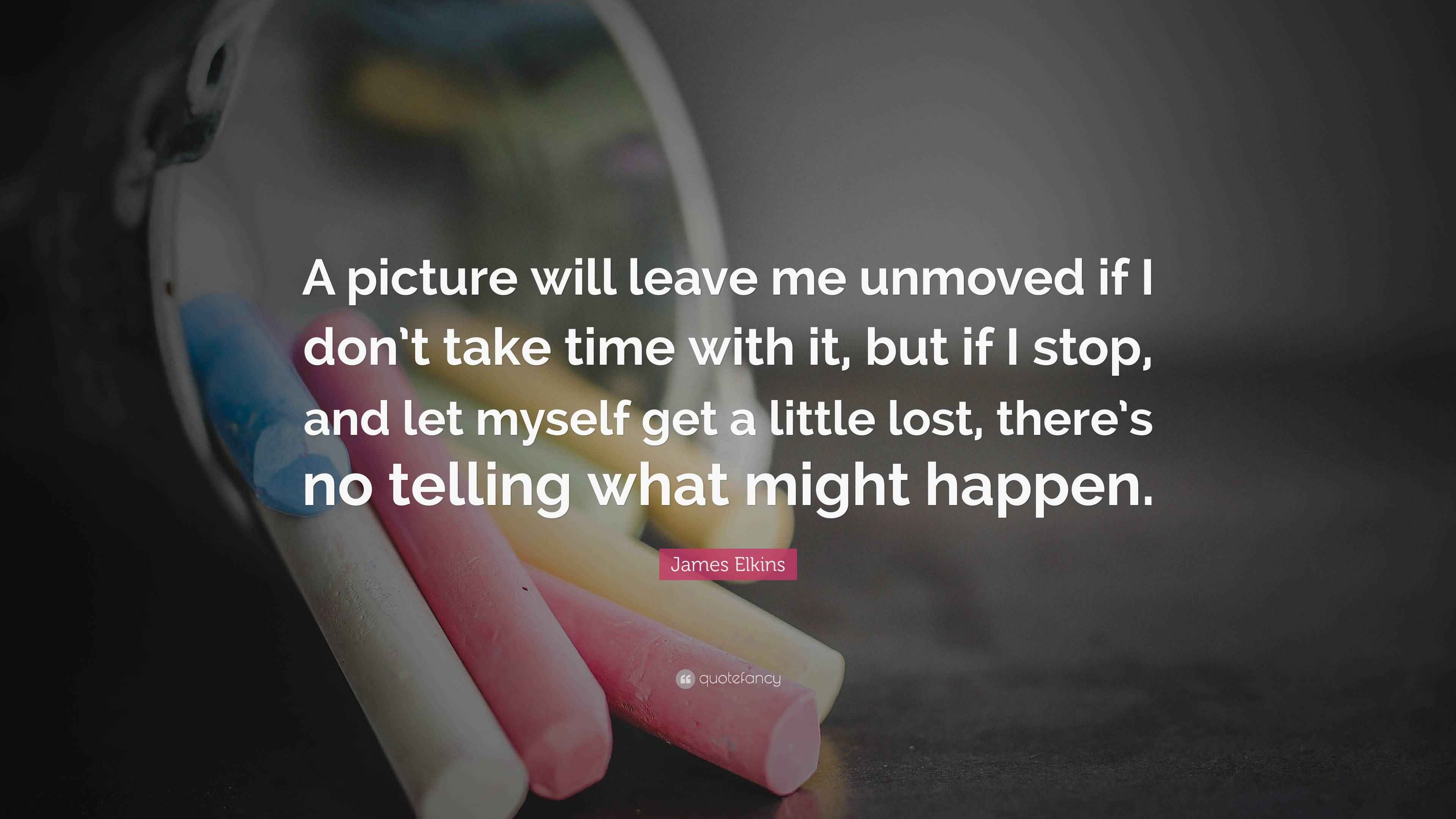 James Elkins Quote: “A picture will leave me unmoved if I don’t take ...