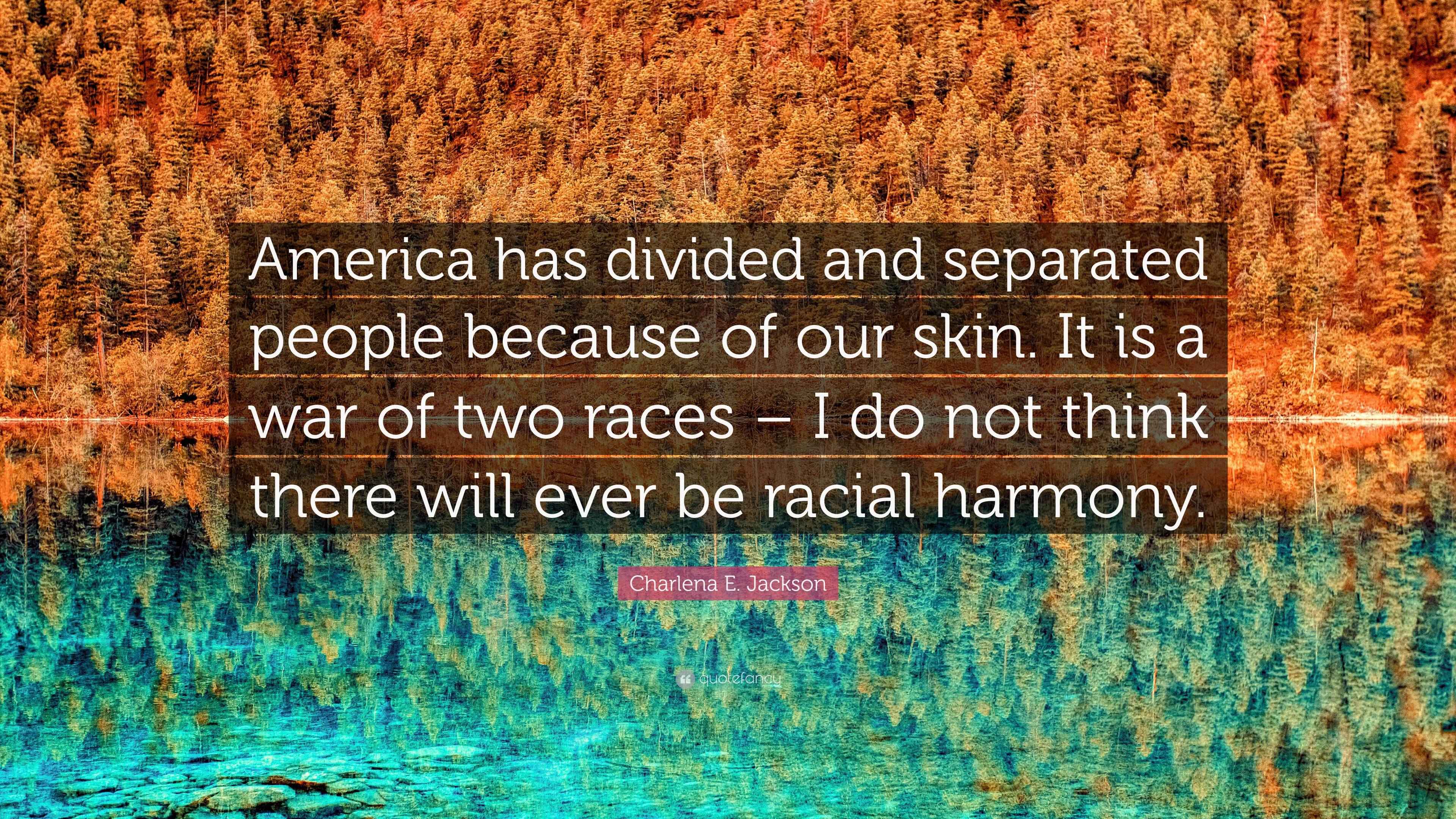 Charlena E. Jackson Quote: “America has divided and separated people ...