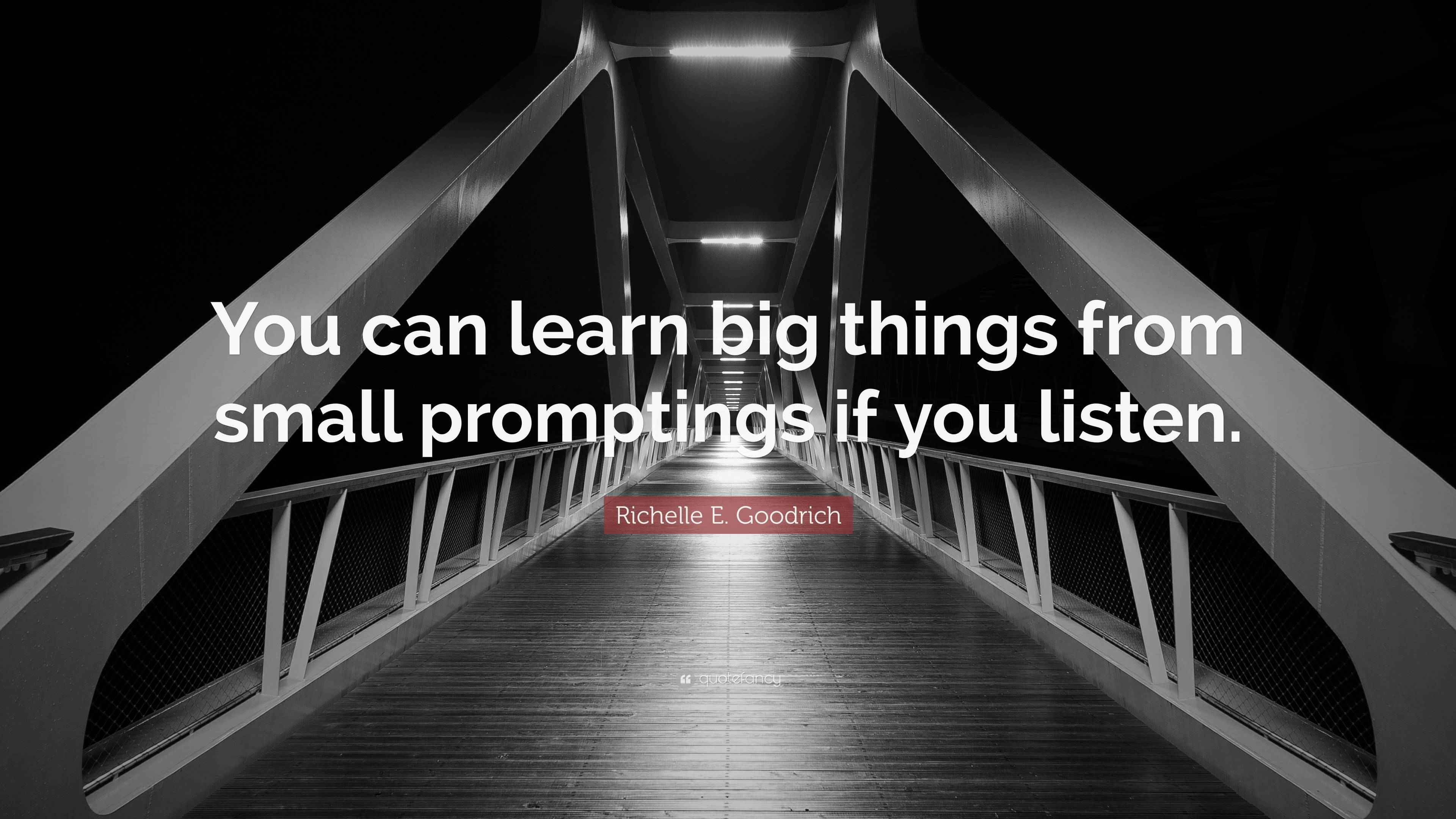 Richelle E. Goodrich Quote: “You can learn big things from small ...