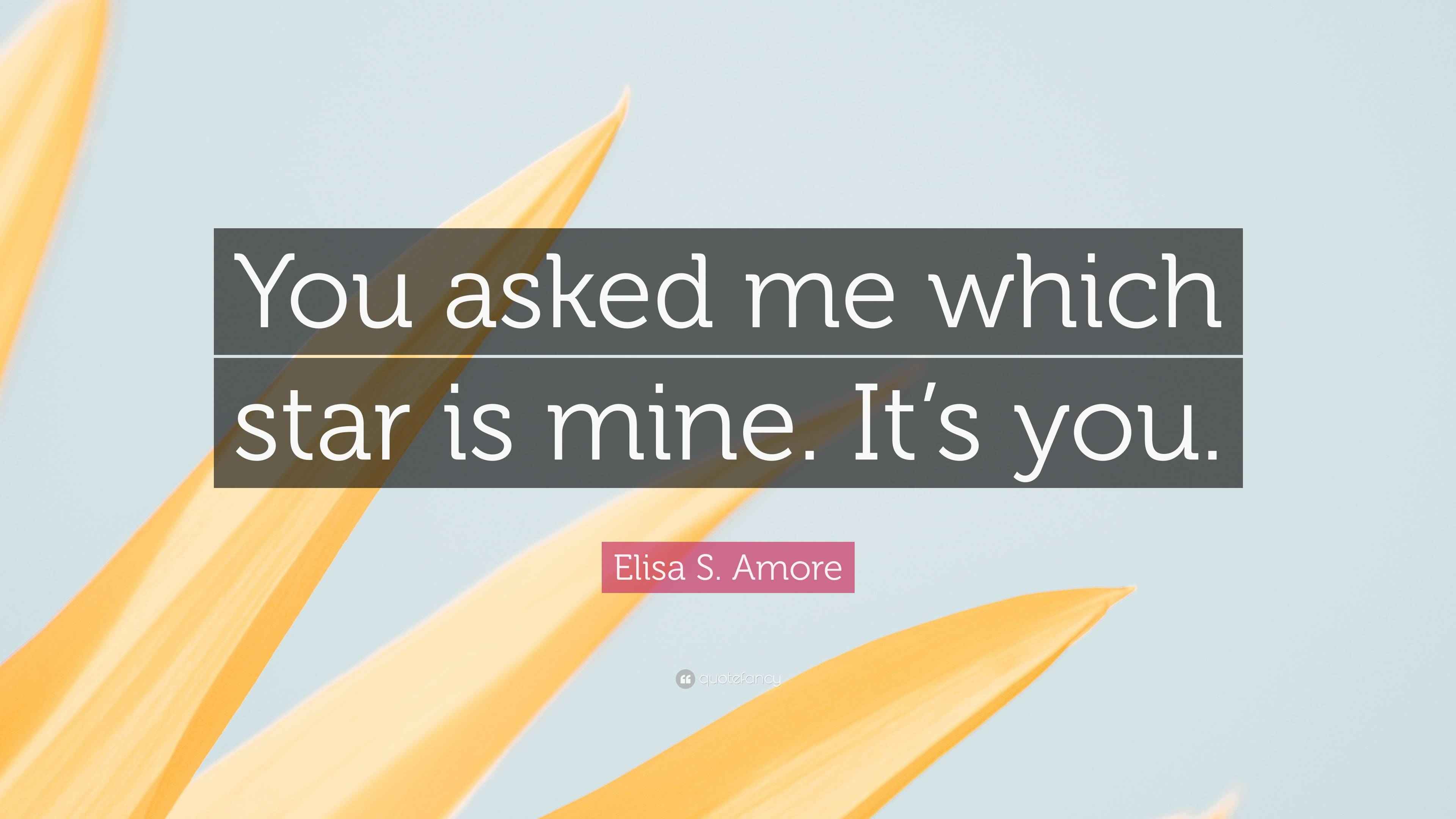 Elisa S. Amore Quote: “You asked me which star is mine. It’s you.”