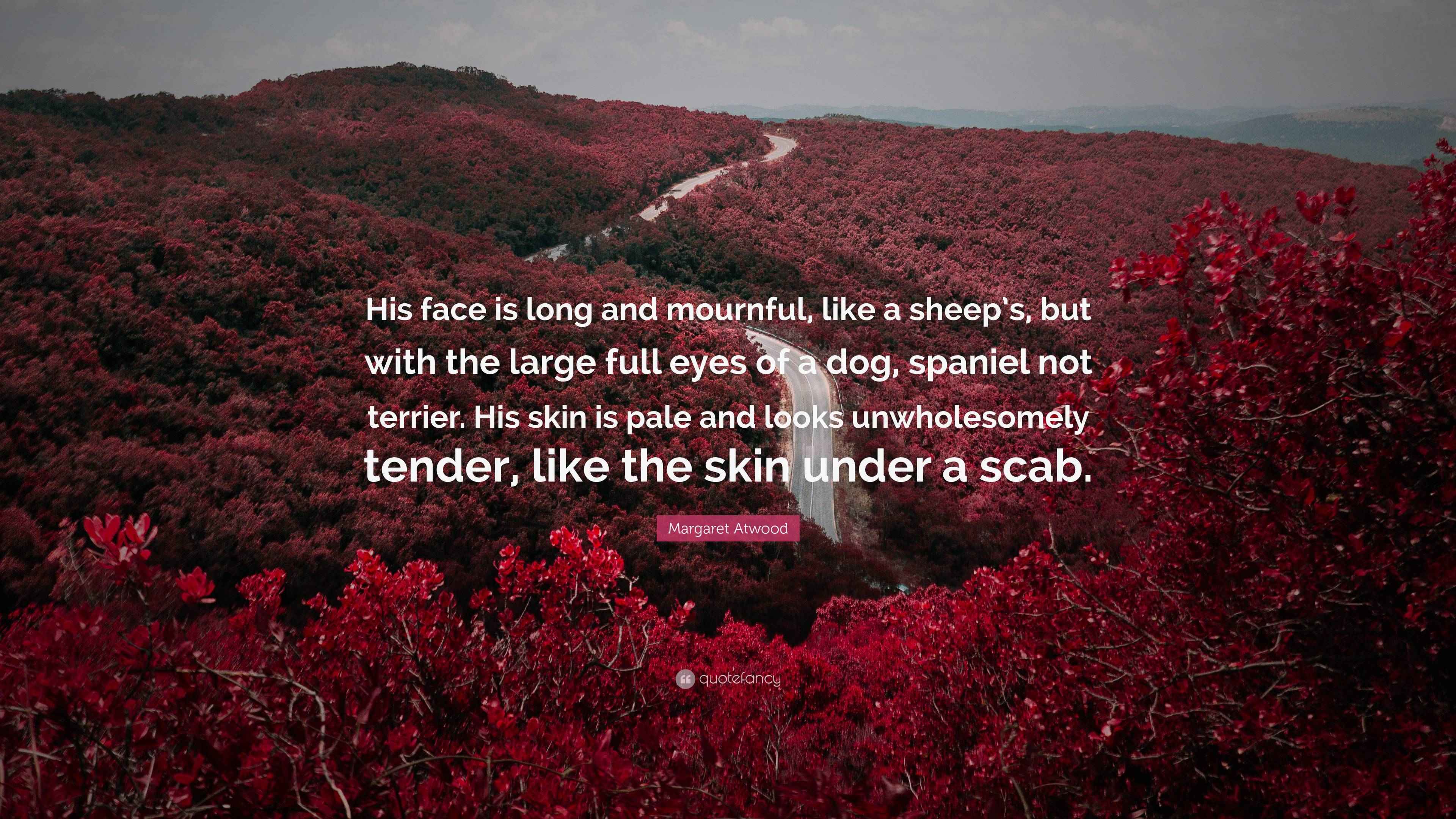 Margaret Atwood Quote: “His face is long and mournful, like a sheep’s ...