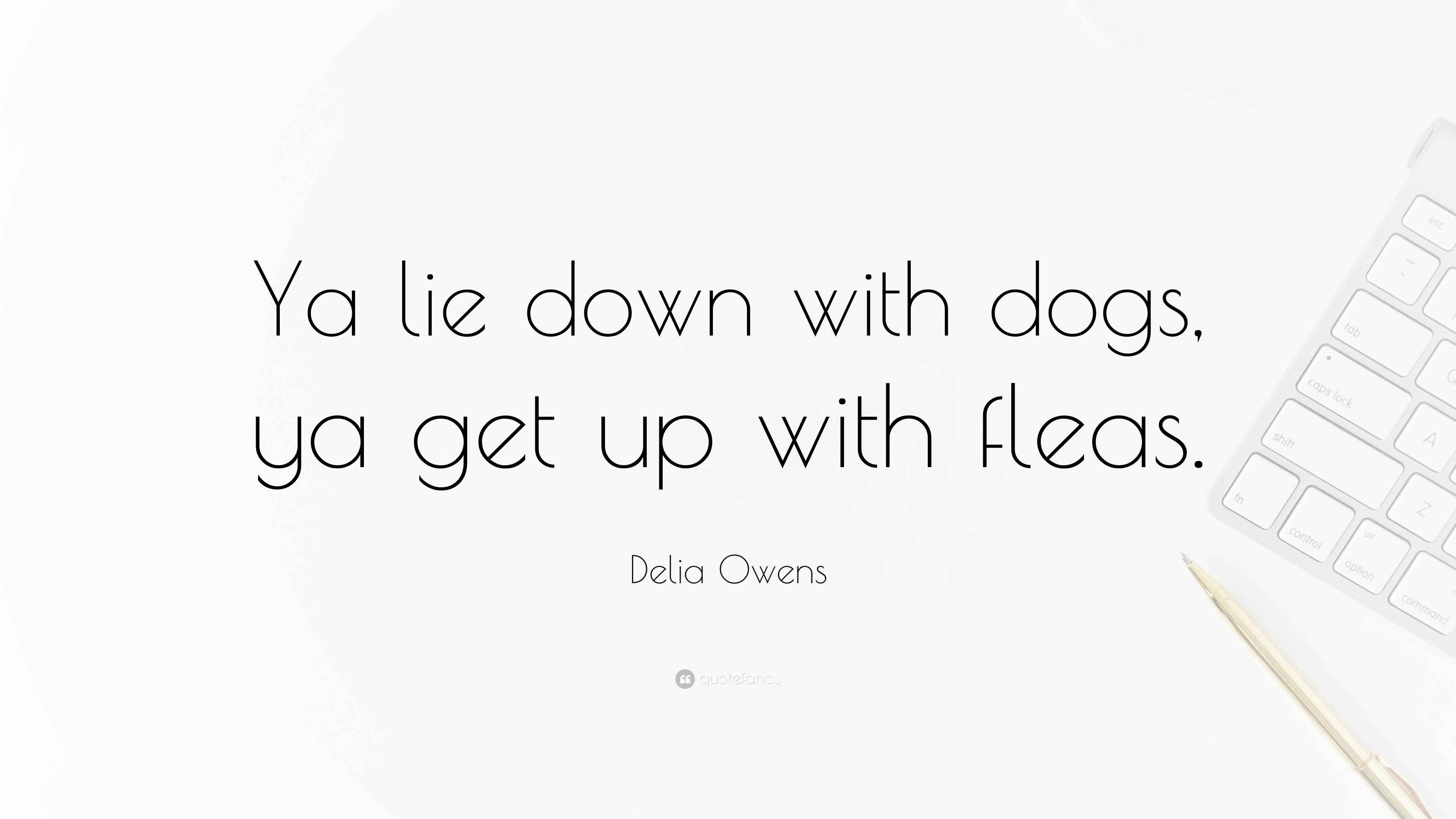 Delia Owens Quote: “Ya lie down with dogs, ya get up with fleas.”