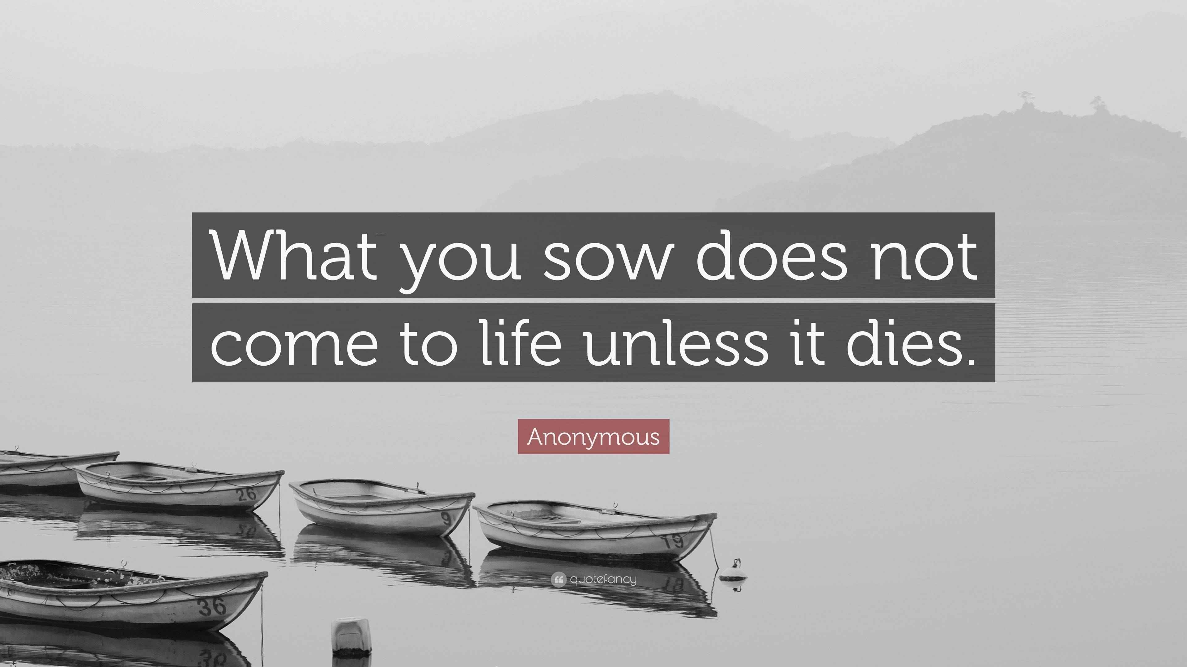 Anonymous Quote: “What you sow does not come to life unless it dies.”