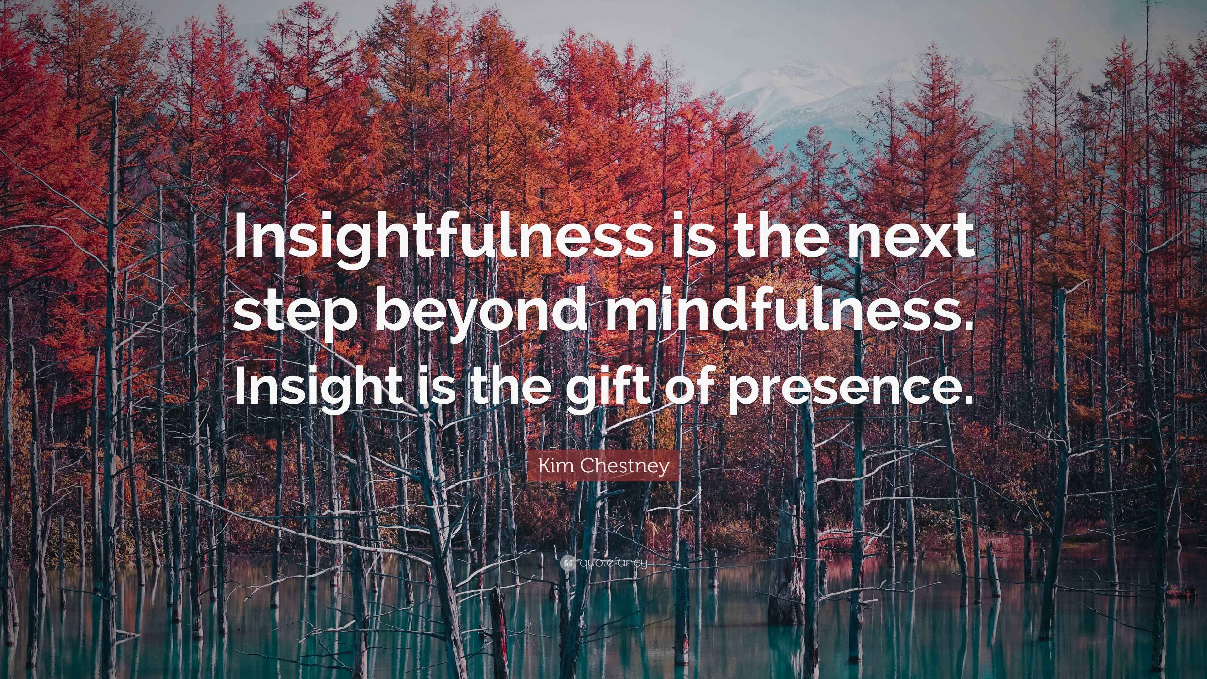 Kim Chestney Quote: “Insightfulness is the next step beyond mindfulness ...