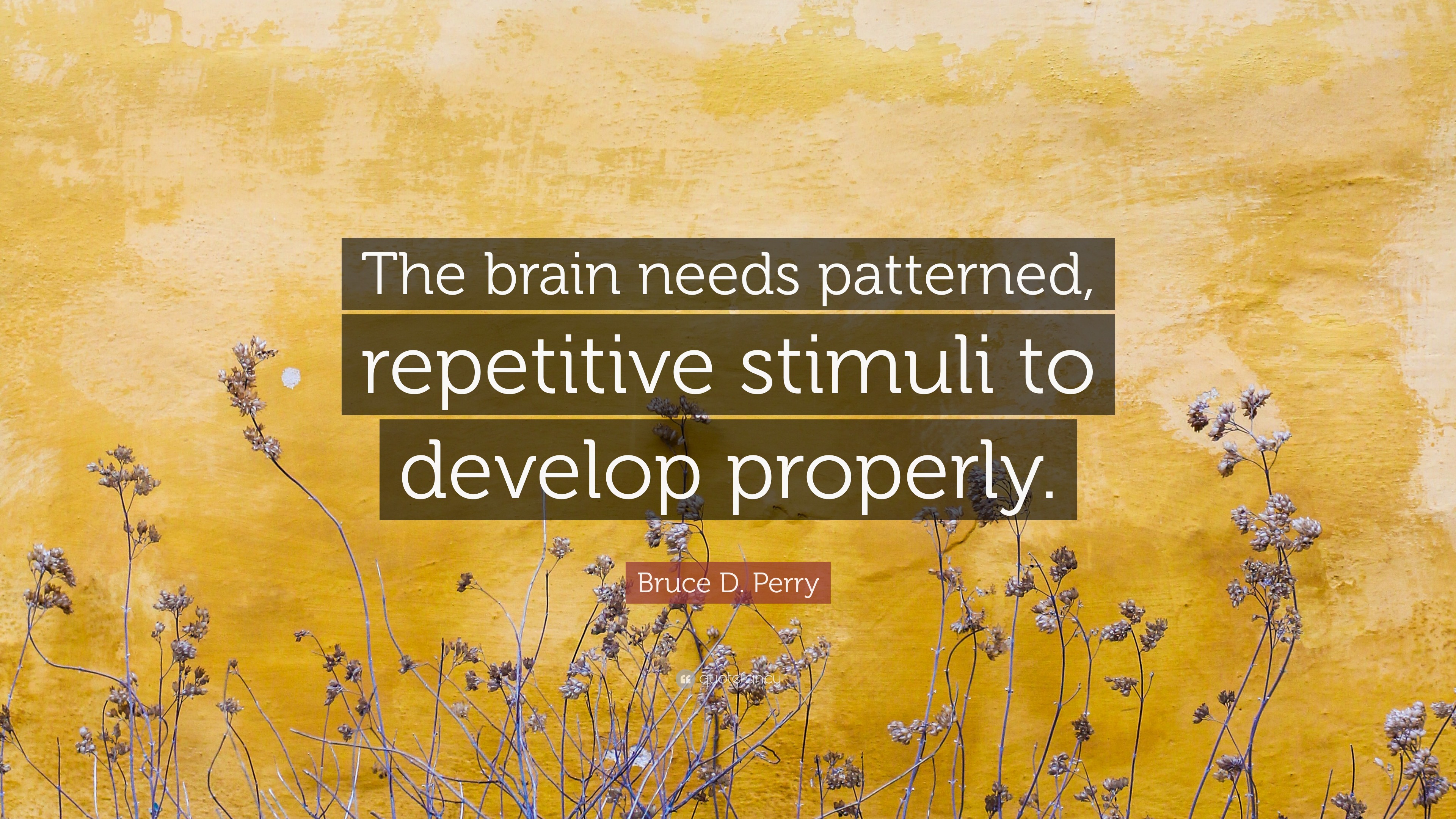 Bruce D. Perry Quote: “The brain needs patterned, repetitive stimuli to ...