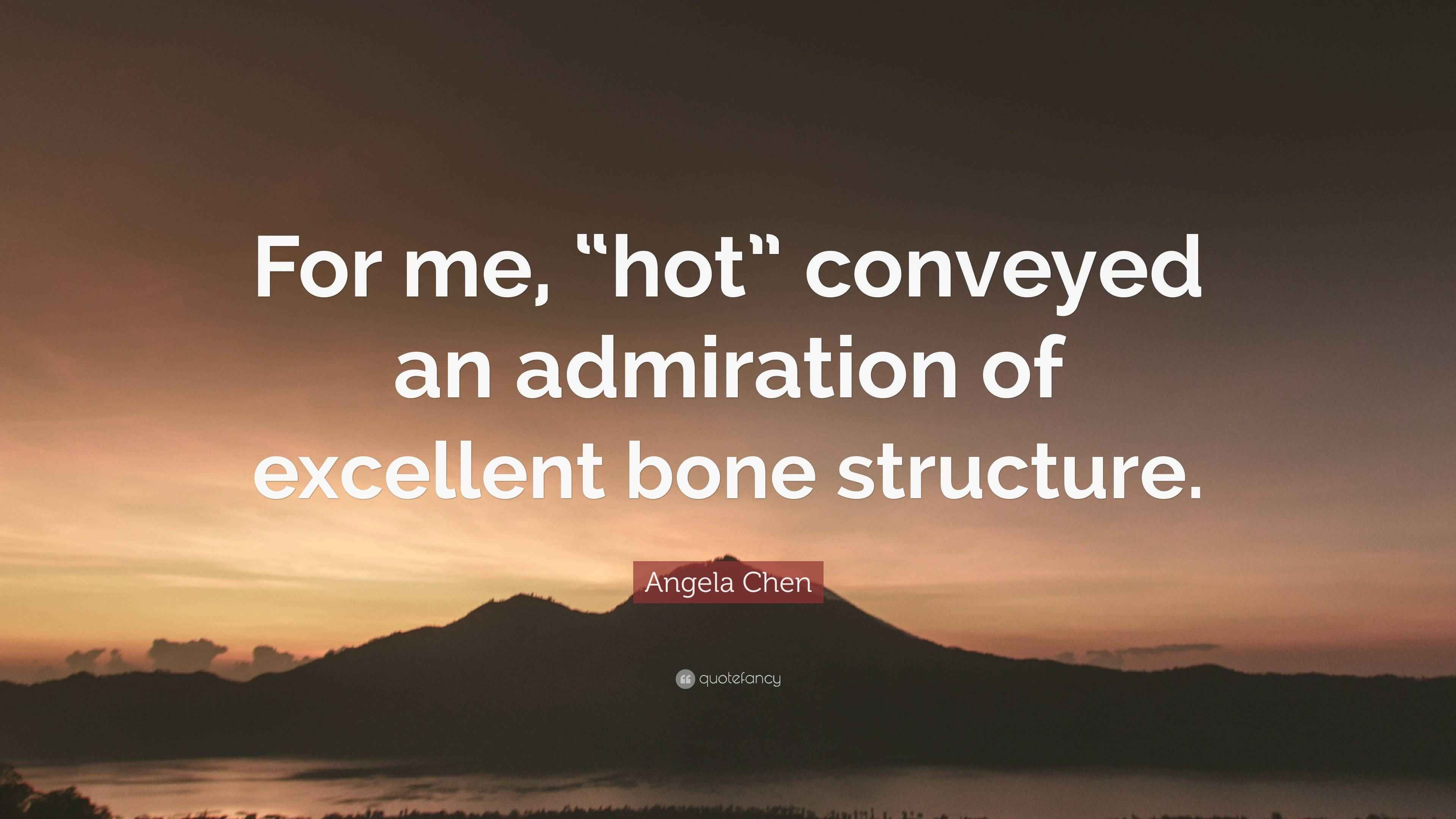 Angela Chen Quote: “For me, “hot” conveyed an admiration of excellent ...