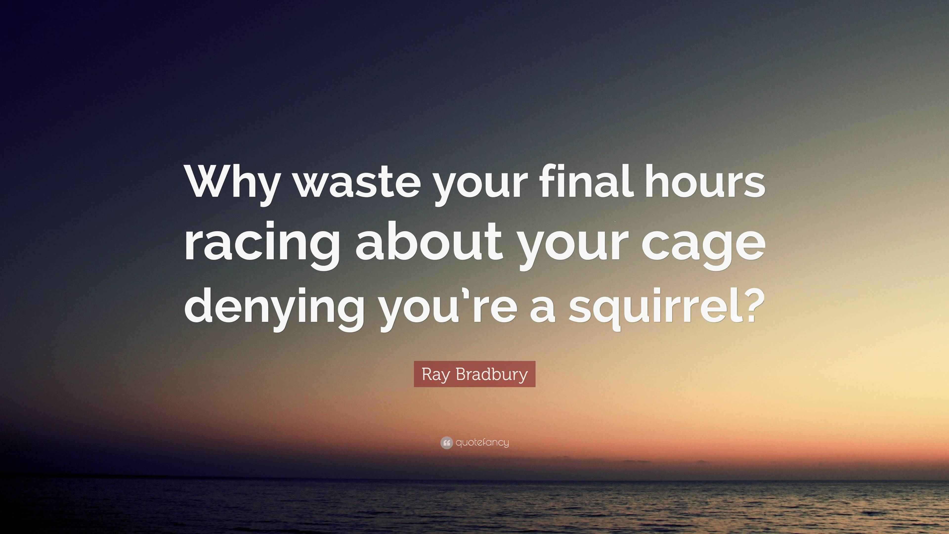 Ray Bradbury Quote: “Why waste your final hours racing about your cage ...