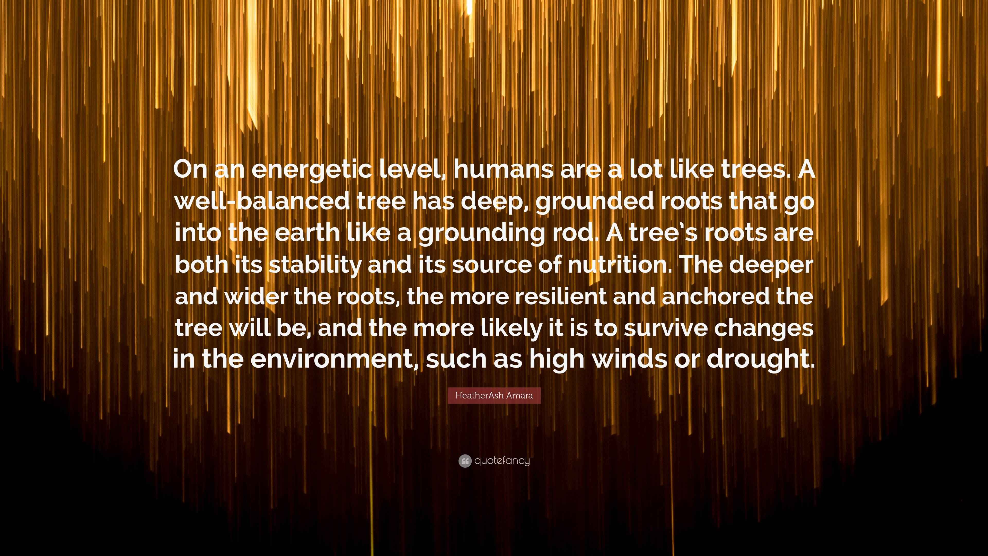 HeatherAsh Amara Quote: “On an energetic level, humans are a lot like ...