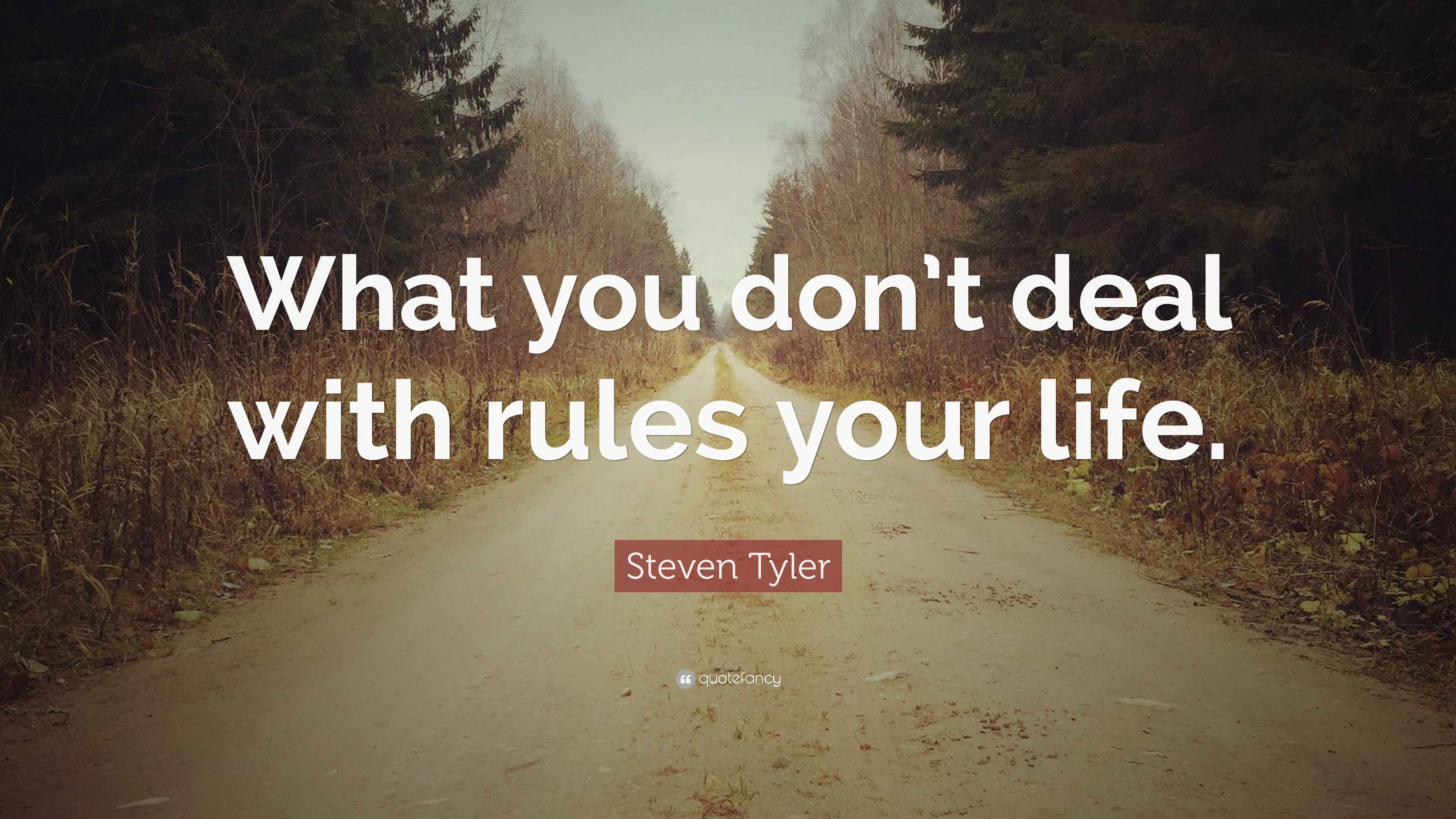 Steven Tyler Quote: “What you don’t deal with rules your life.”
