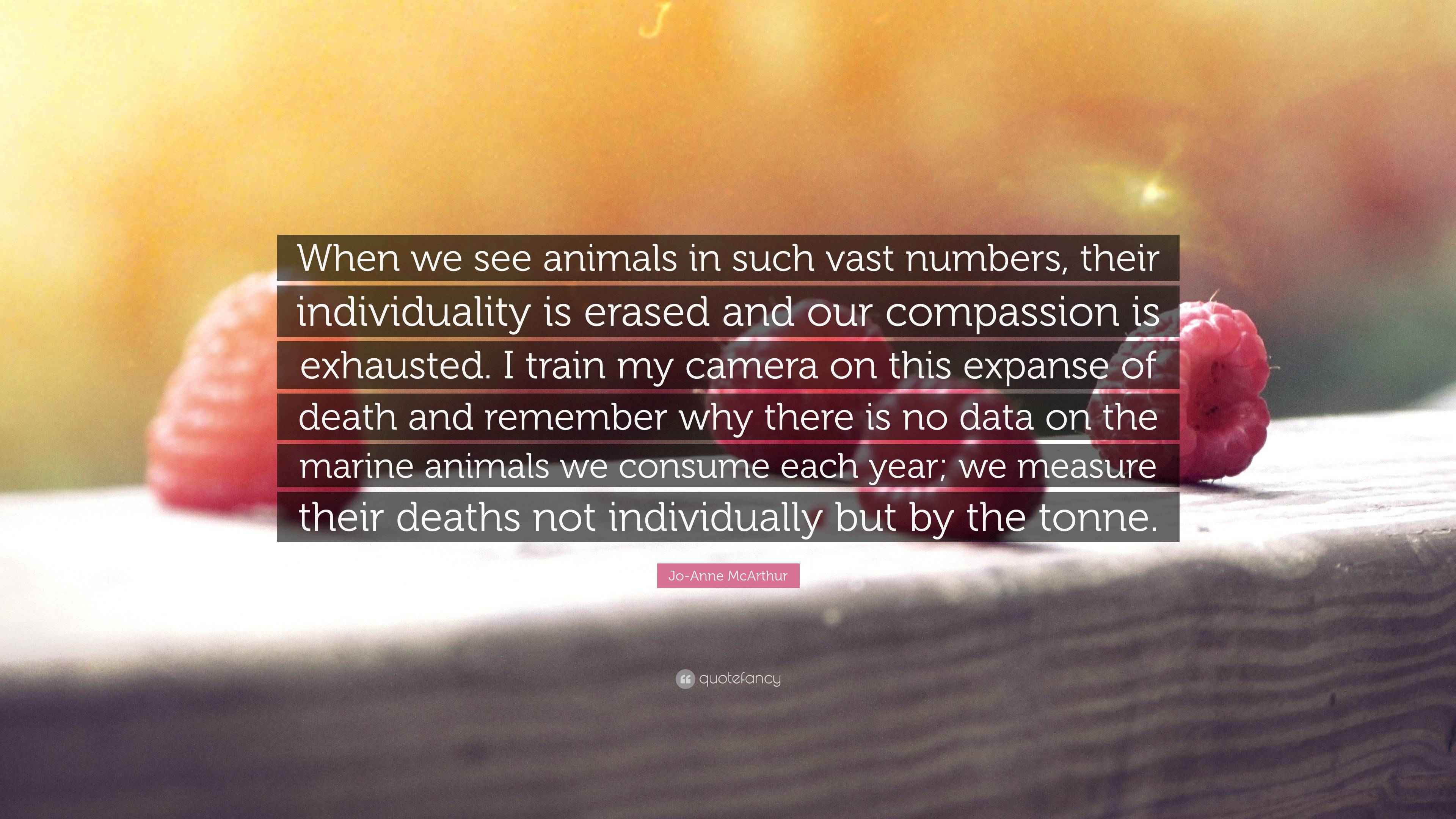 Jo-Anne McArthur Quote: “When we see animals in such vast numbers ...
