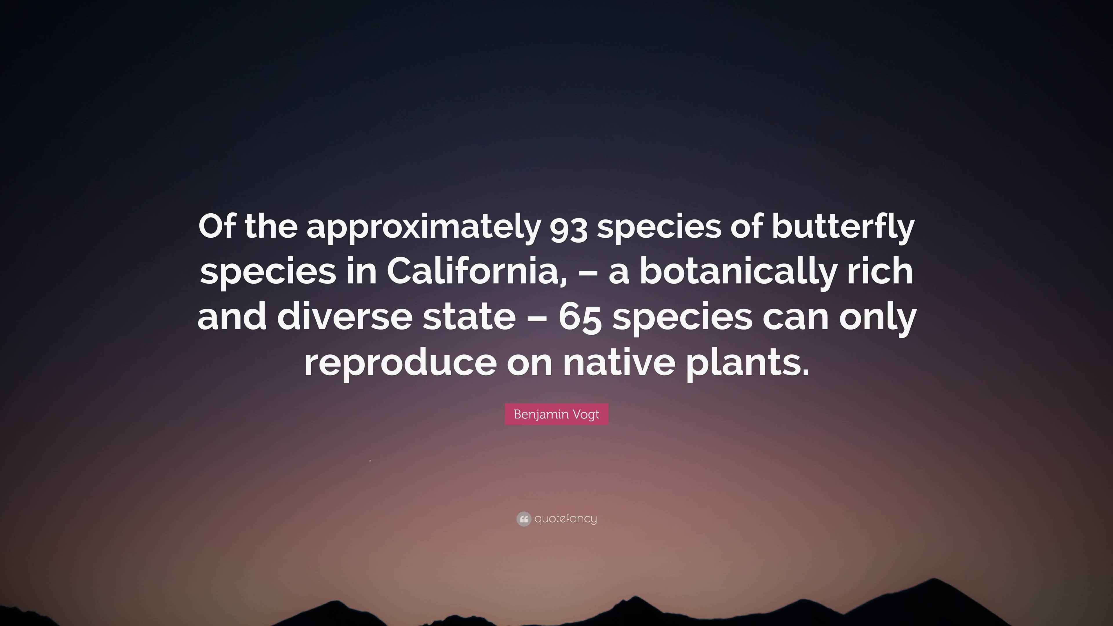 Benjamin Vogt Quote: “Of the approximately 93 species of butterfly ...