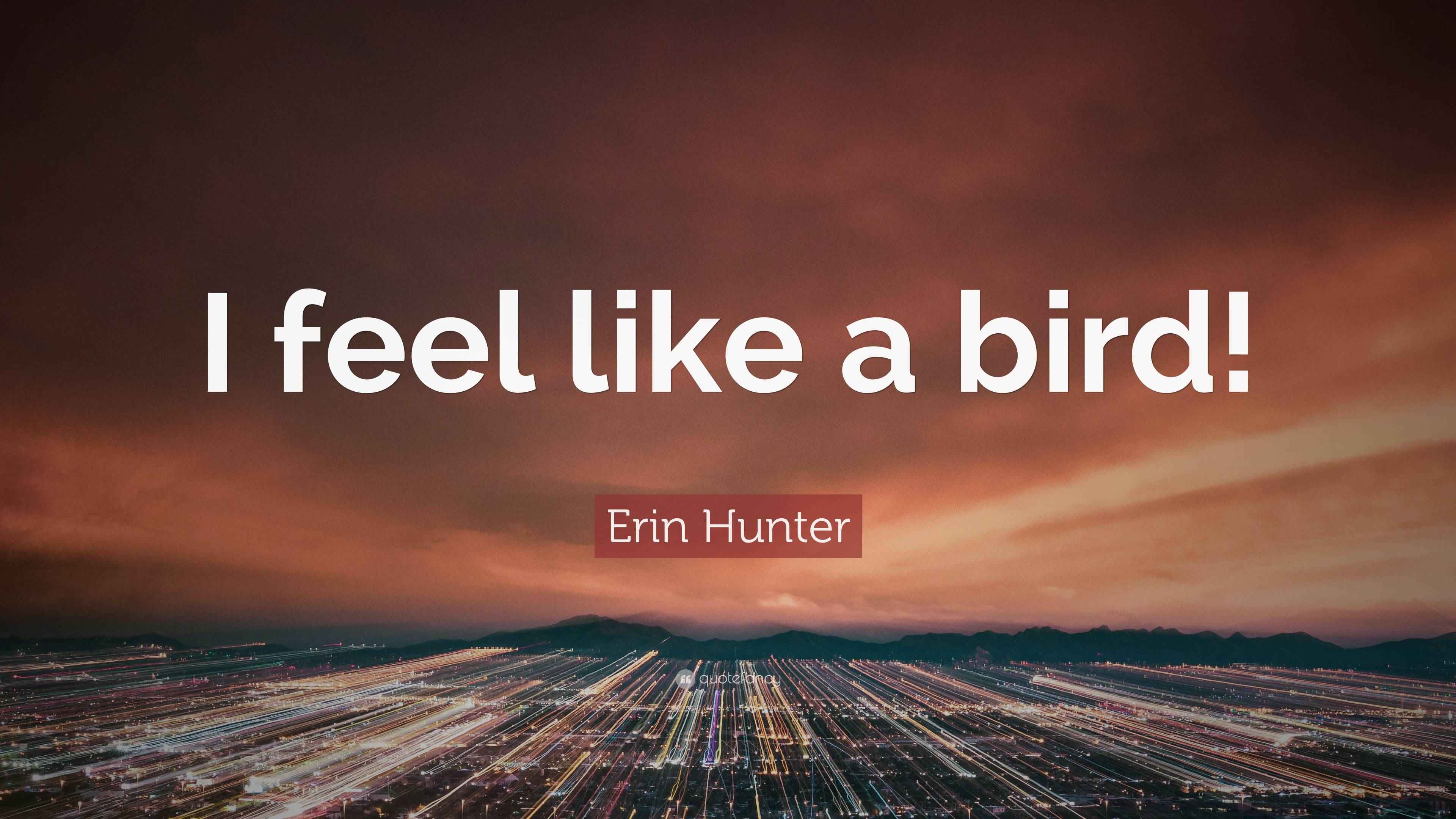 Erin Hunter Quote: “I feel like a bird!”