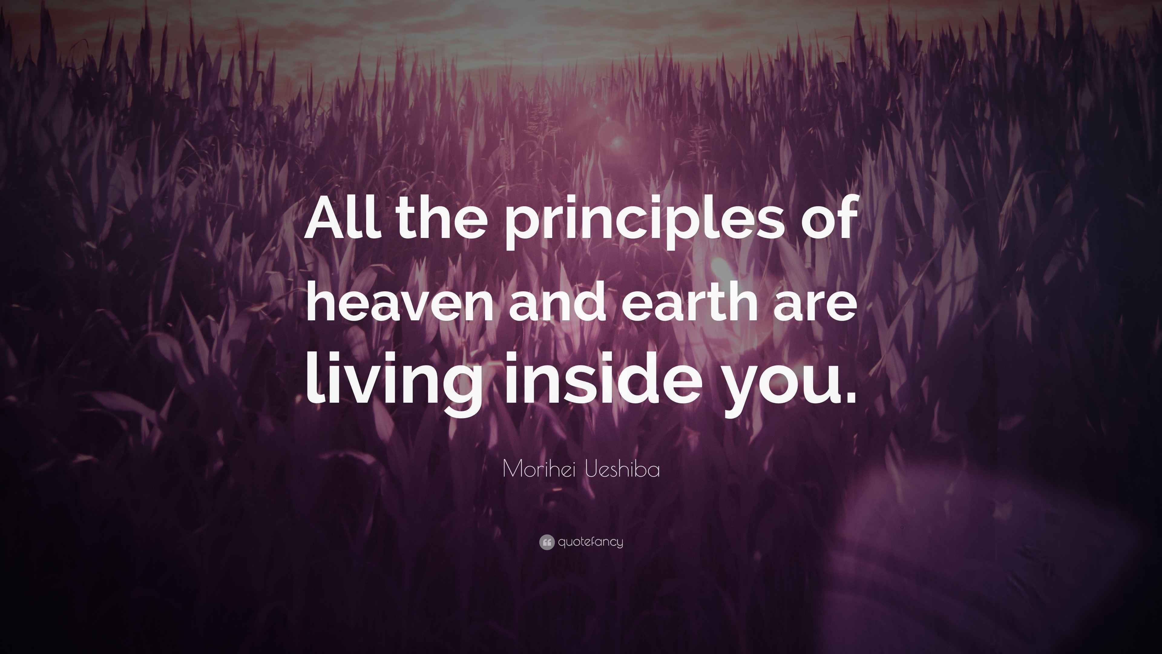 Morihei Ueshiba Quote: “All the principles of heaven and earth are ...