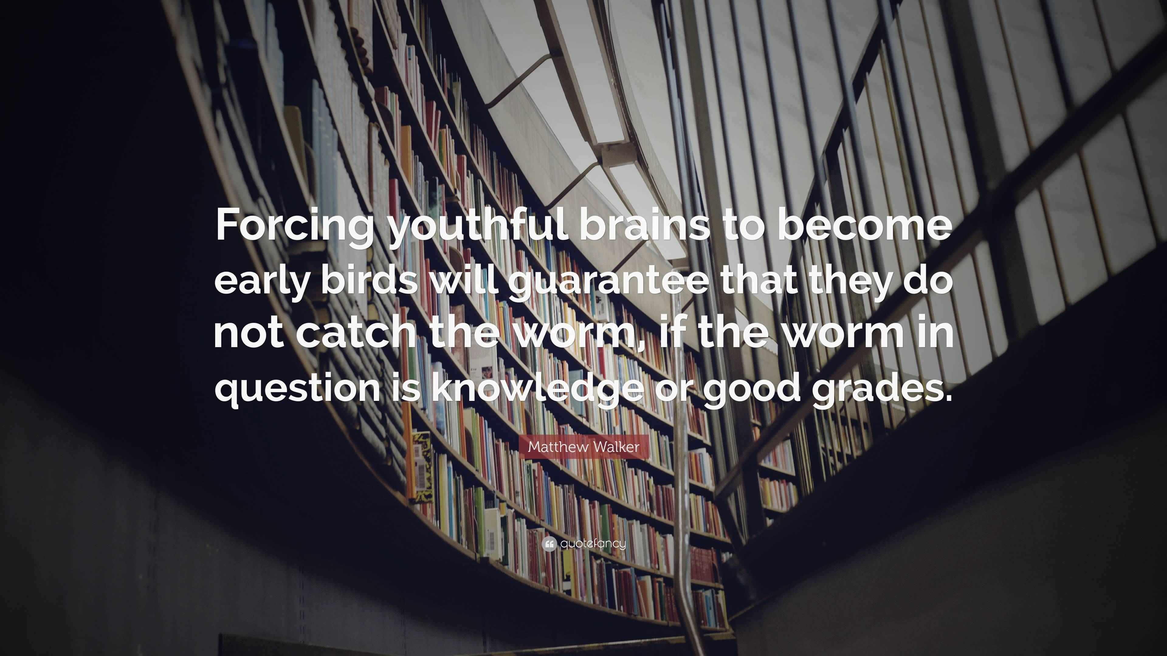 Matthew Walker Quote: “Forcing youthful brains to become early birds ...