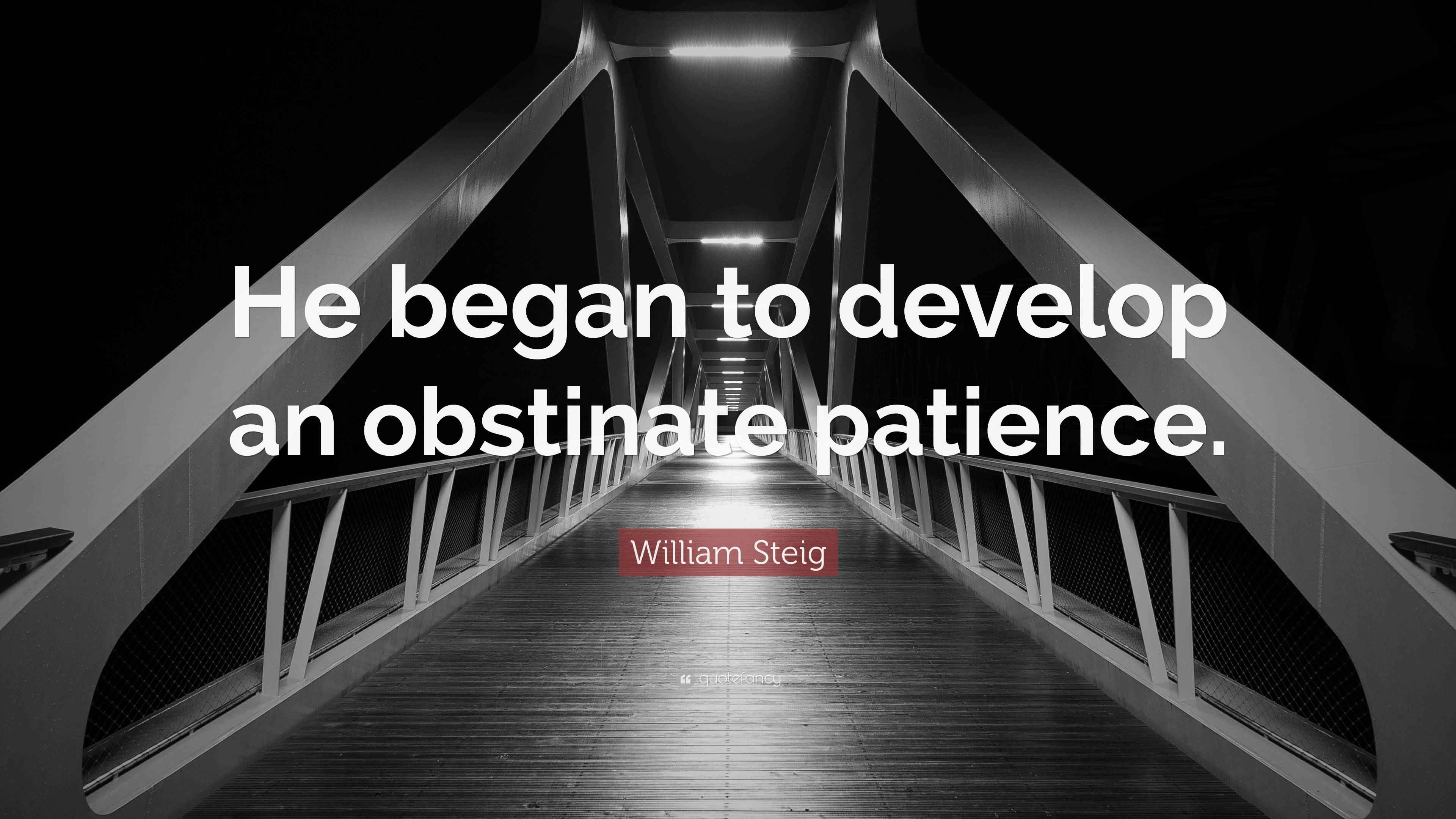 William Steig Quote: “He began to develop an obstinate patience.”