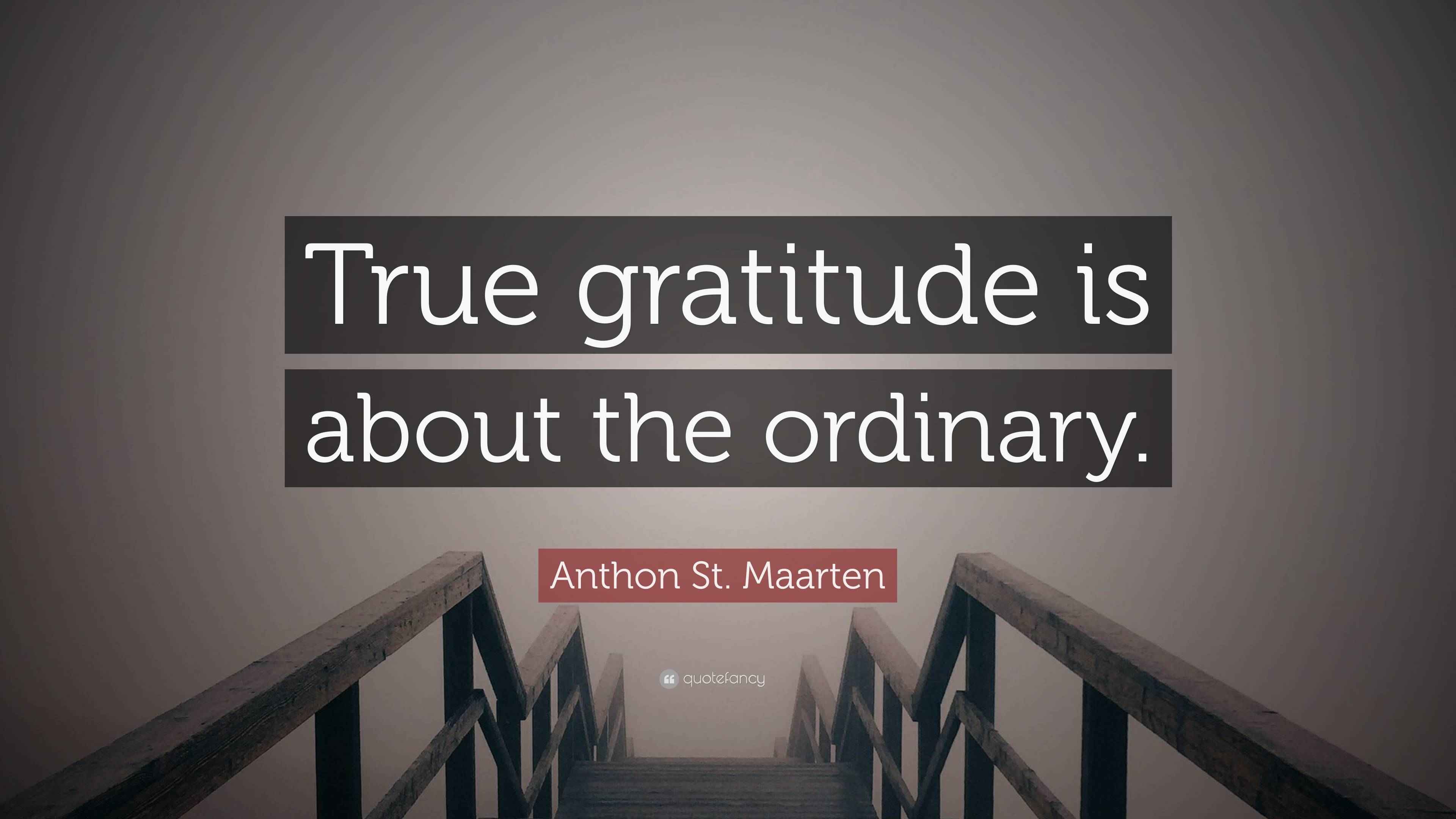 Anthon St. Maarten Quote: “True gratitude is about the ordinary.”
