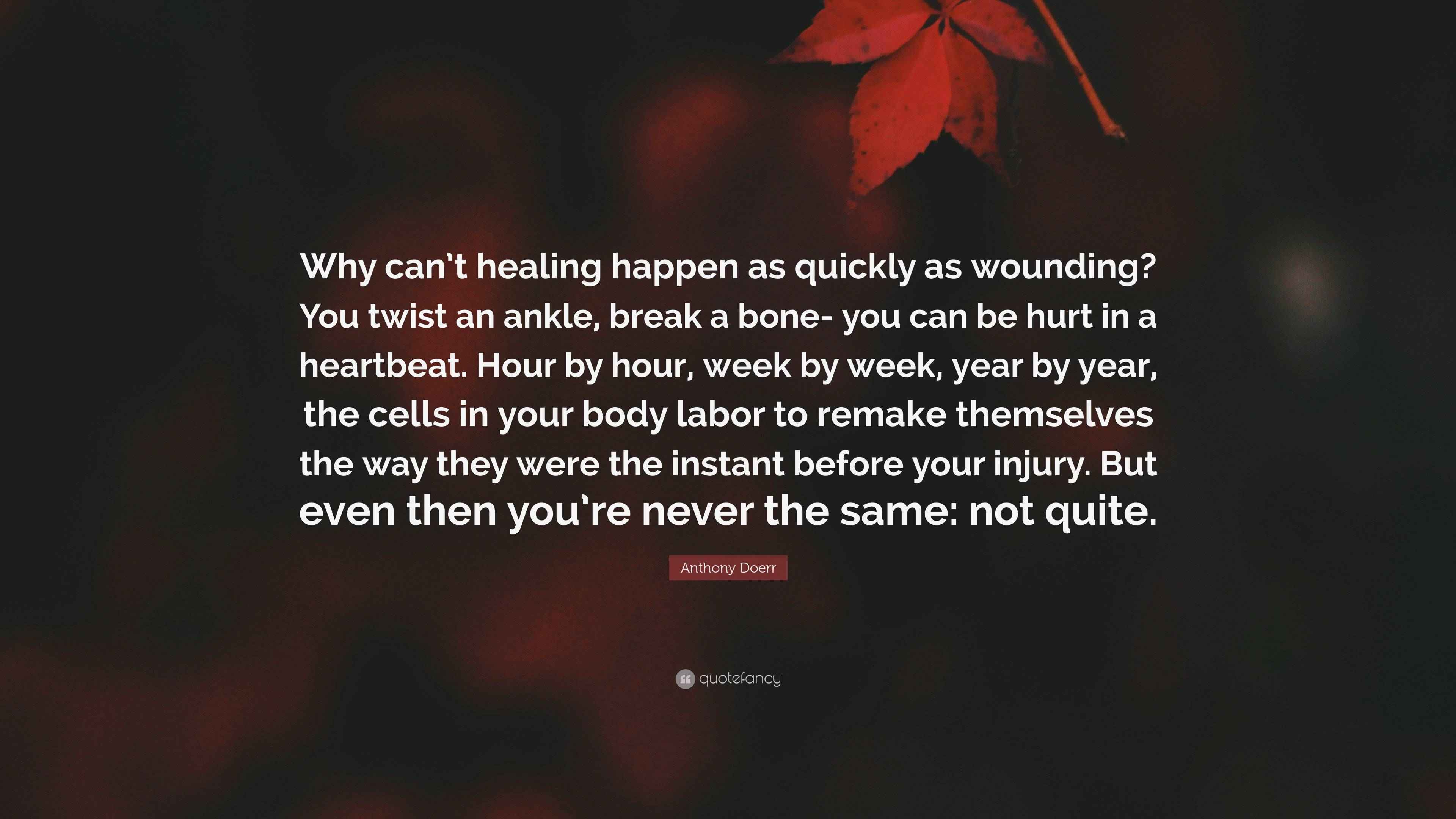 Anthony Doerr Quote: “Why can’t healing happen as quickly as wounding ...