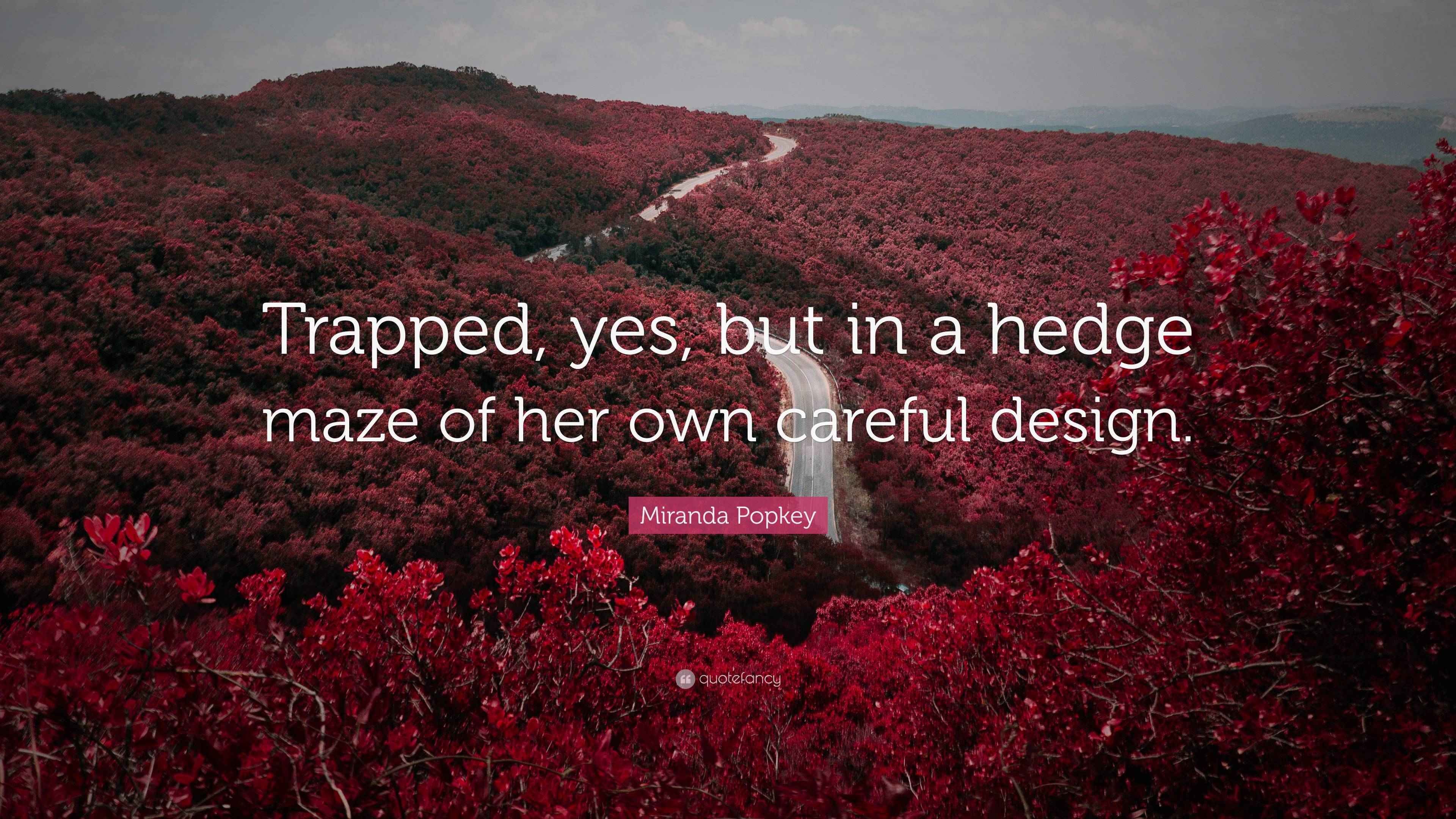 Miranda Popkey Quote: “Trapped, yes, but in a hedge maze of her own ...