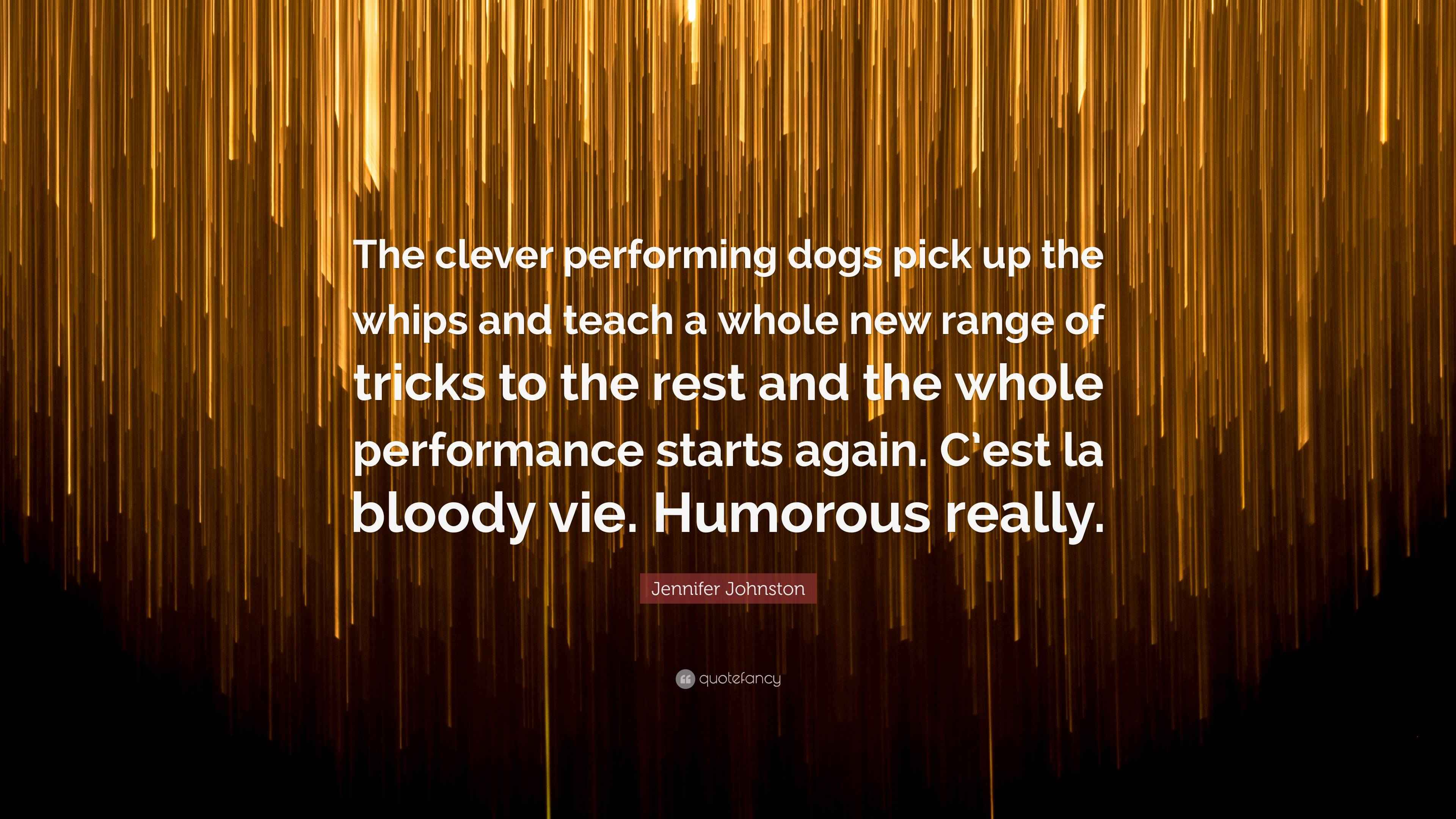Jennifer Johnston Quote: “The clever performing dogs pick up the whips ...