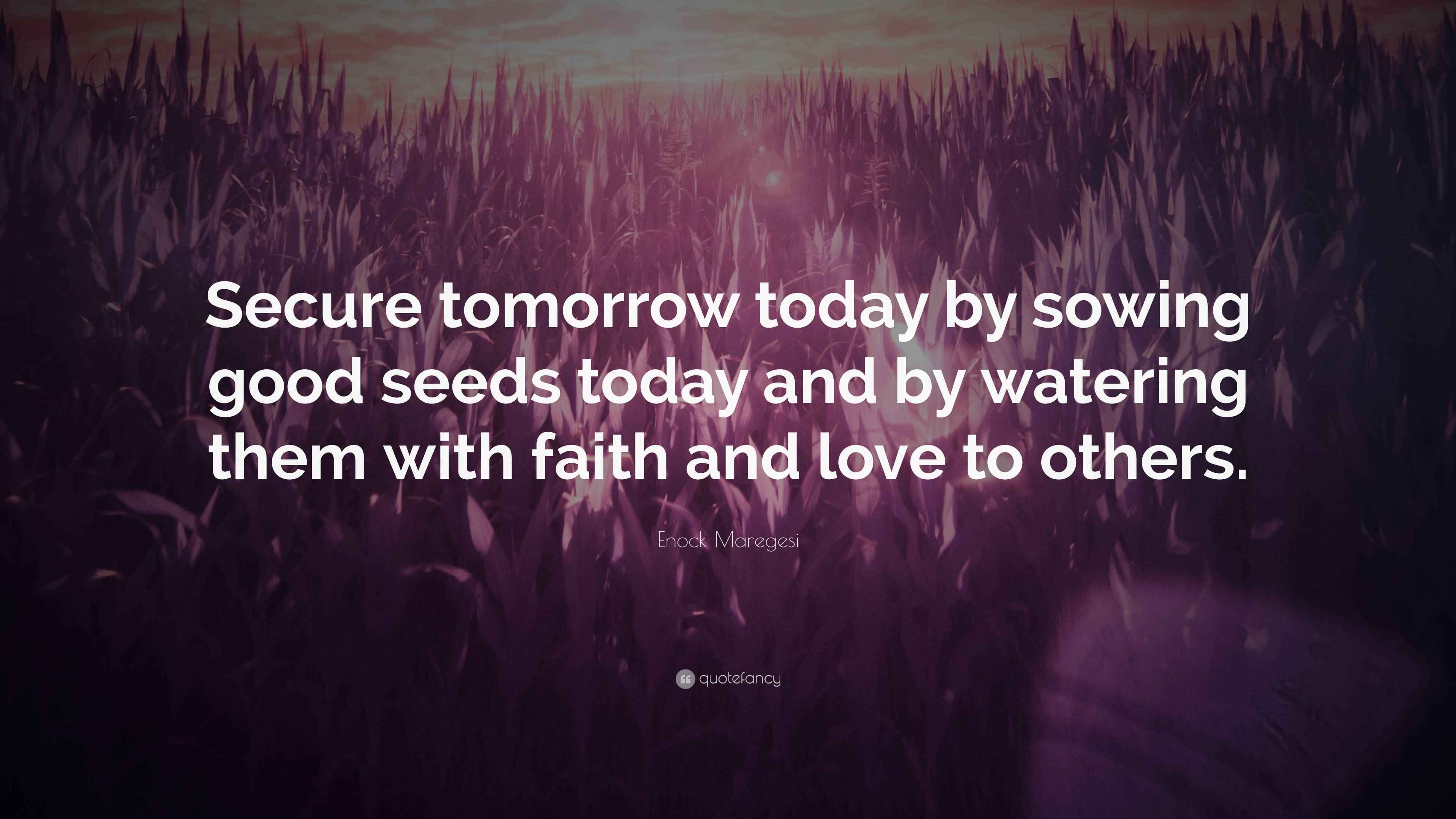 Enock Maregesi Quote: “Secure tomorrow today by sowing good seeds today ...
