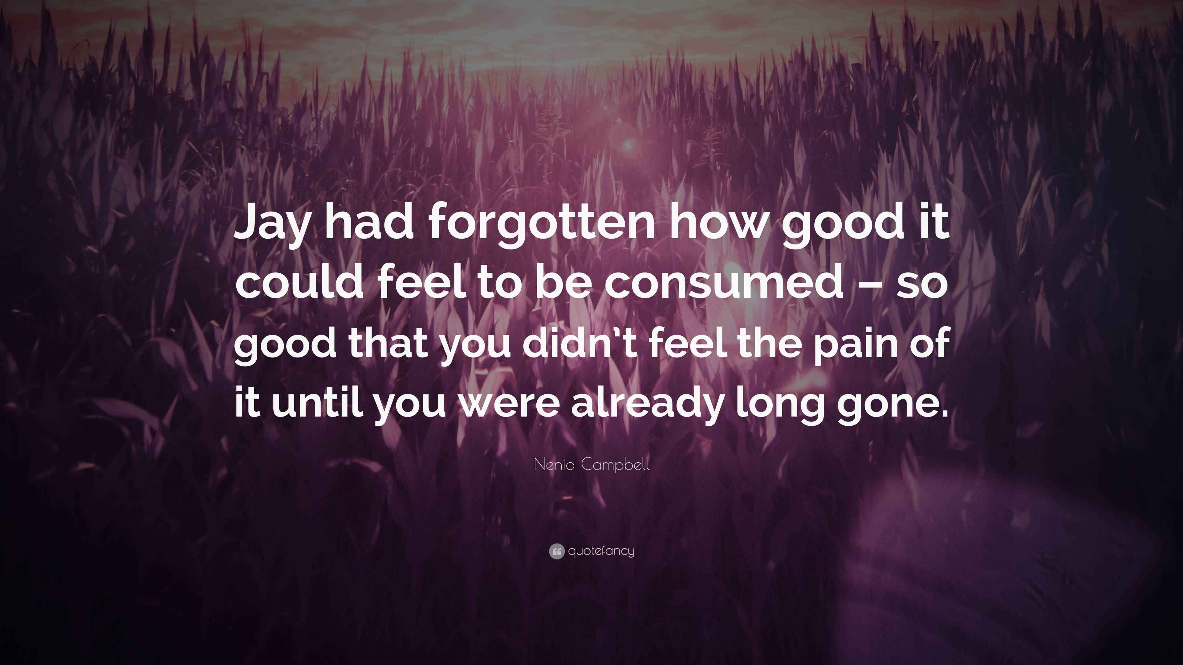 Nenia Campbell Quote: “Jay had forgotten how good it could feel to be ...