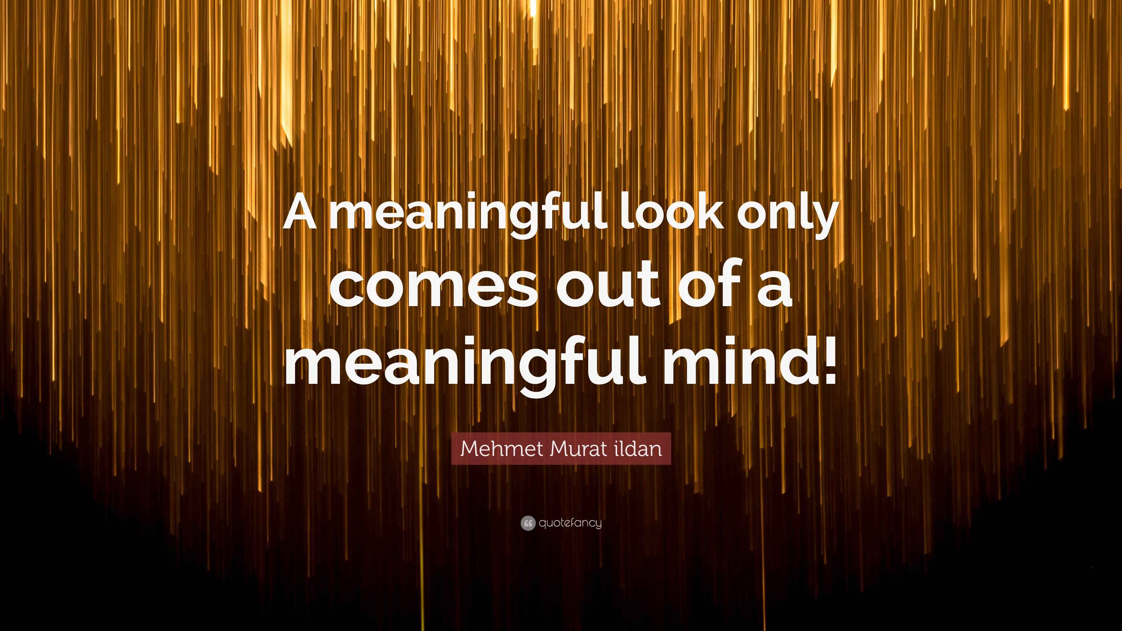 Mehmet Murat ildan Quote: “A meaningful look only comes out of a ...